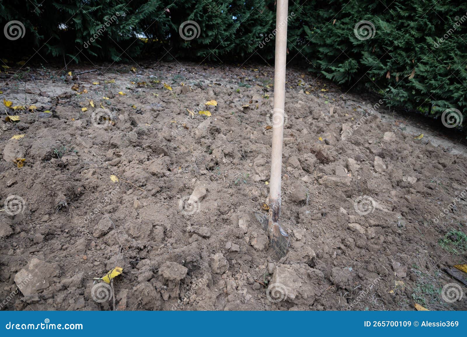 Digging Operations in a Vegetable Garden Stock Image - Image of hole ...