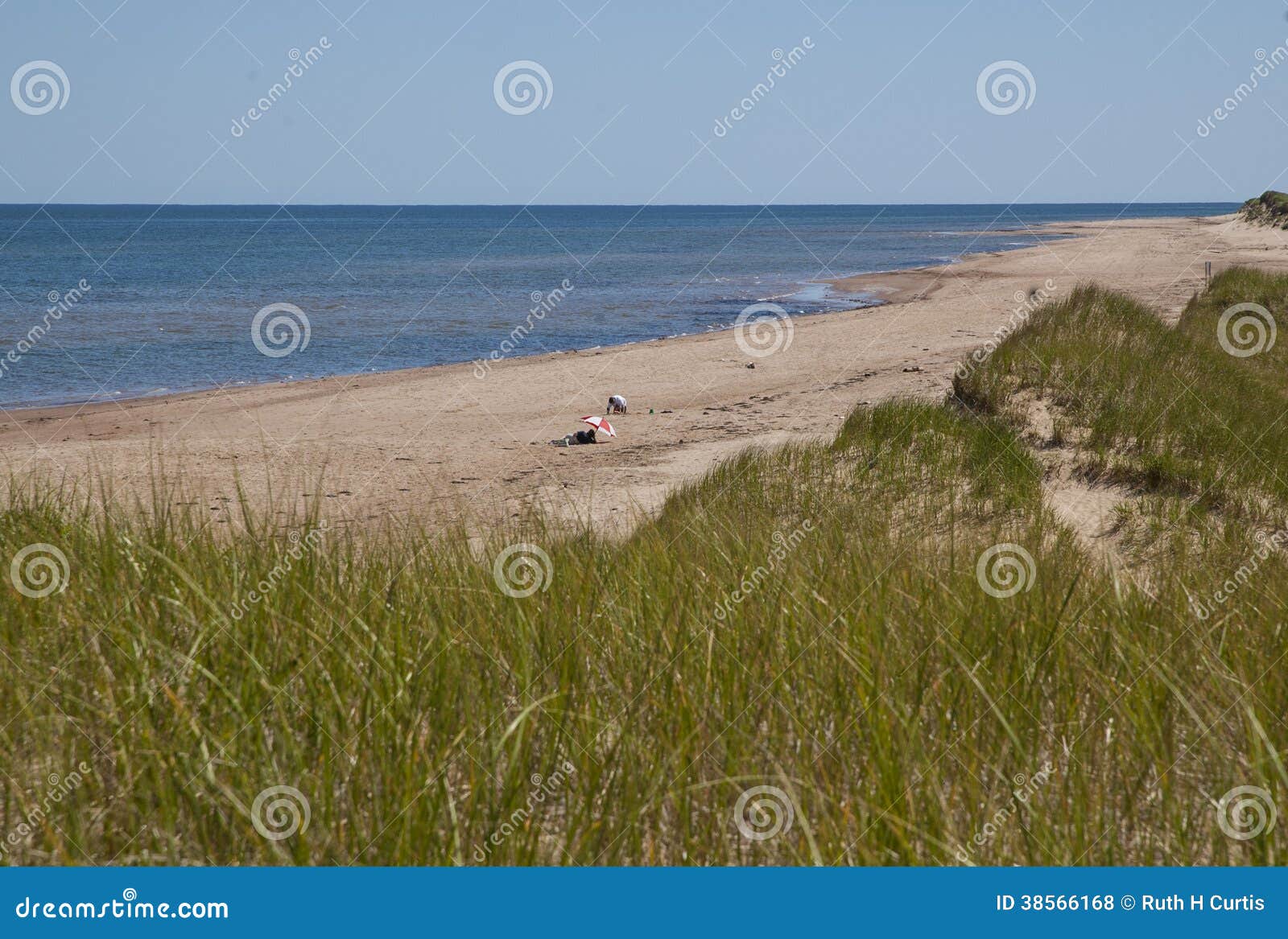 Digging in the Sand stock photo. Image of sand, curves - 38566168