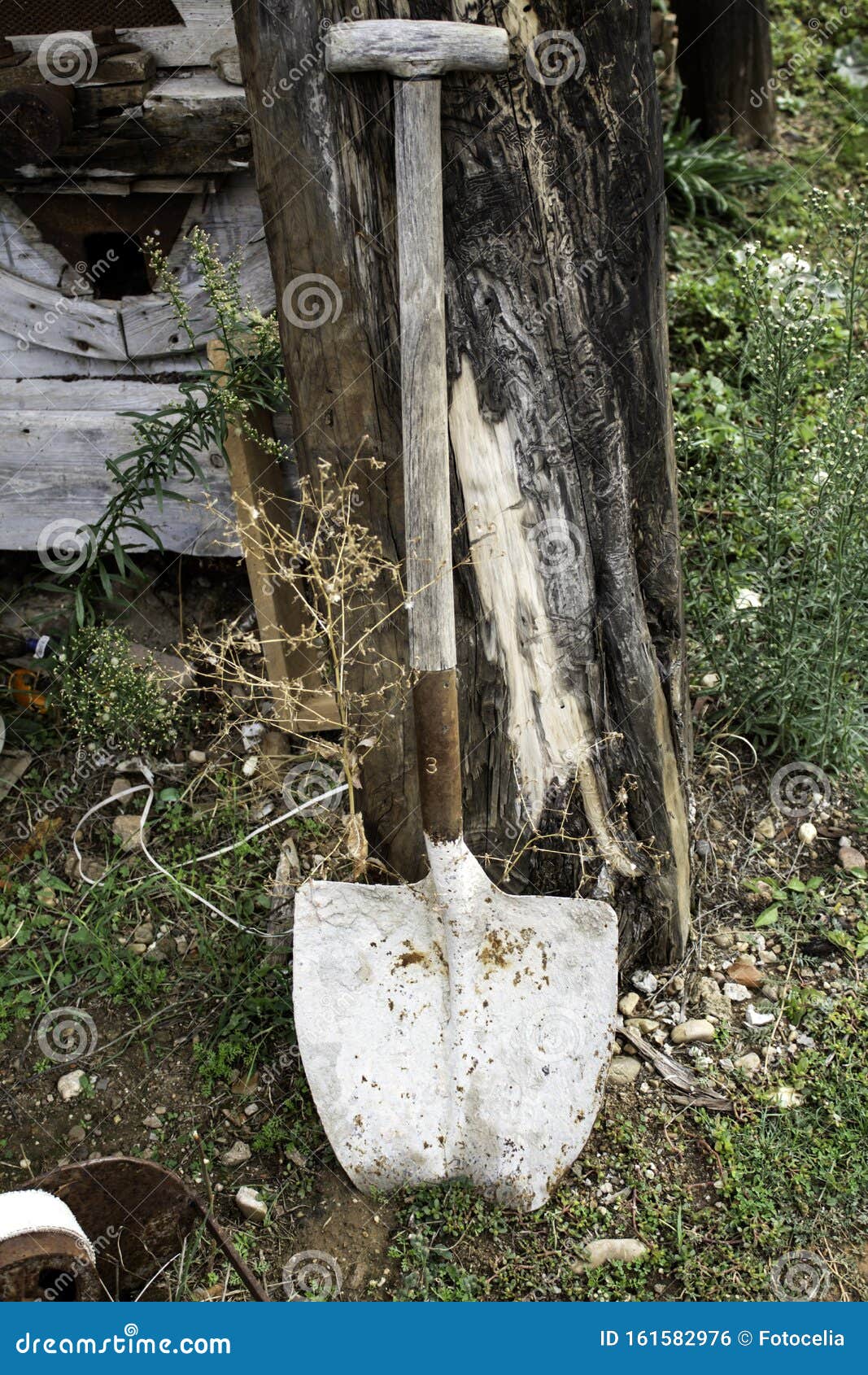 Digging shovel stock photo. Image of agriculture, garden - 161582976
