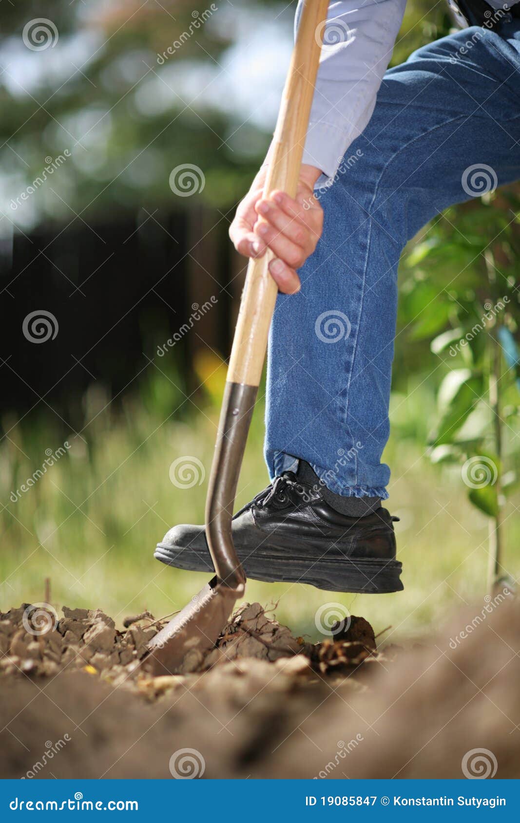 Digging soil stock image. Image of rural, green, agriculture - 19085847
