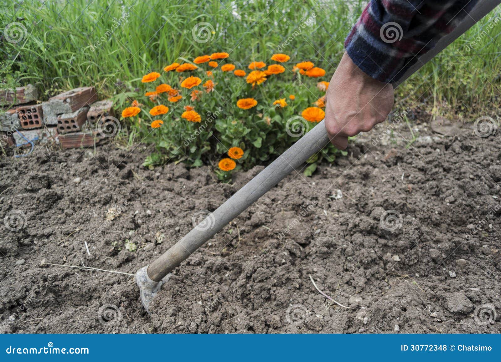 Digging soil with hoe stock photo. Image of outdoors - 30772348
