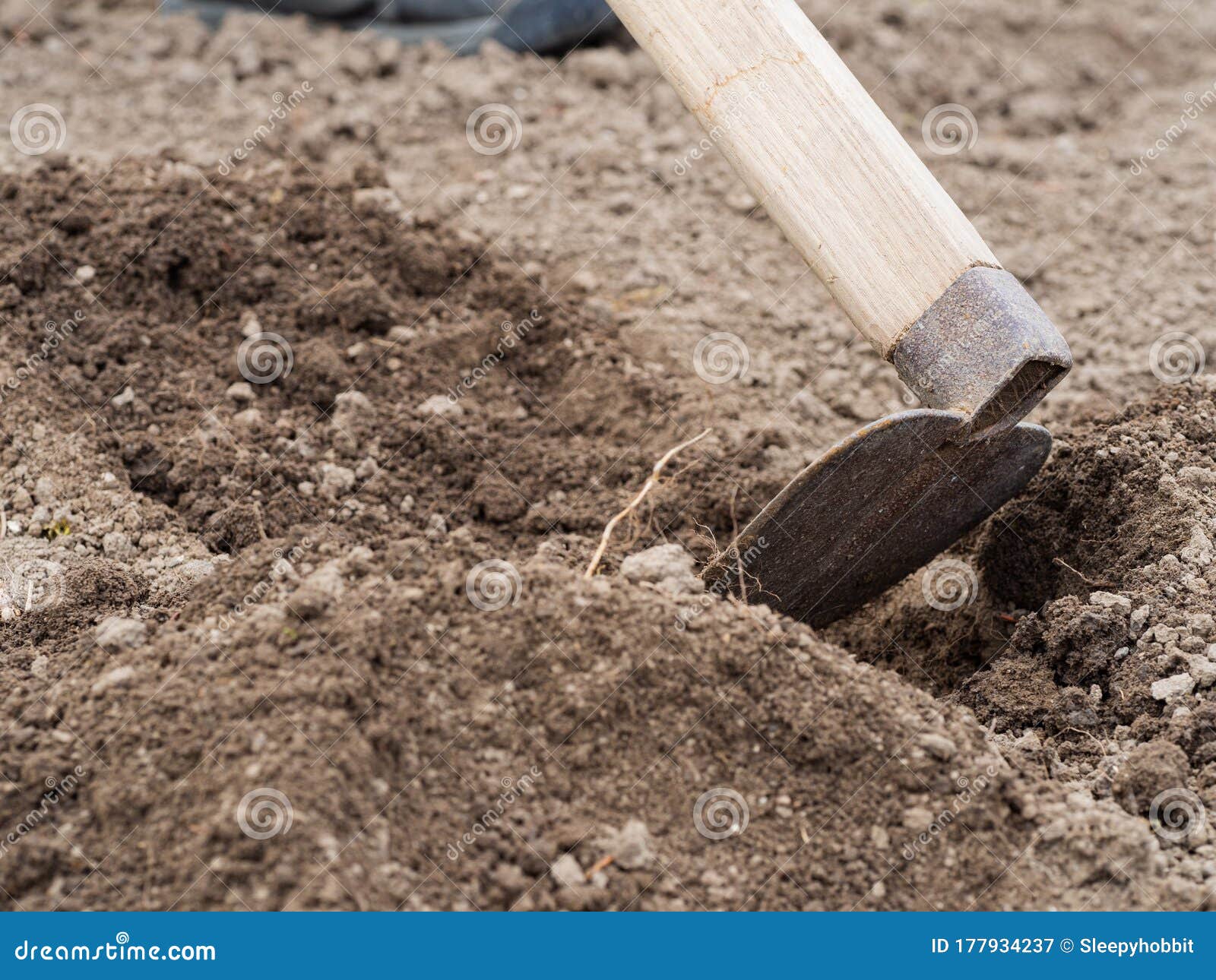 Digging the Soil with a Hoe in Spring Garden Stock Image - Image of ...