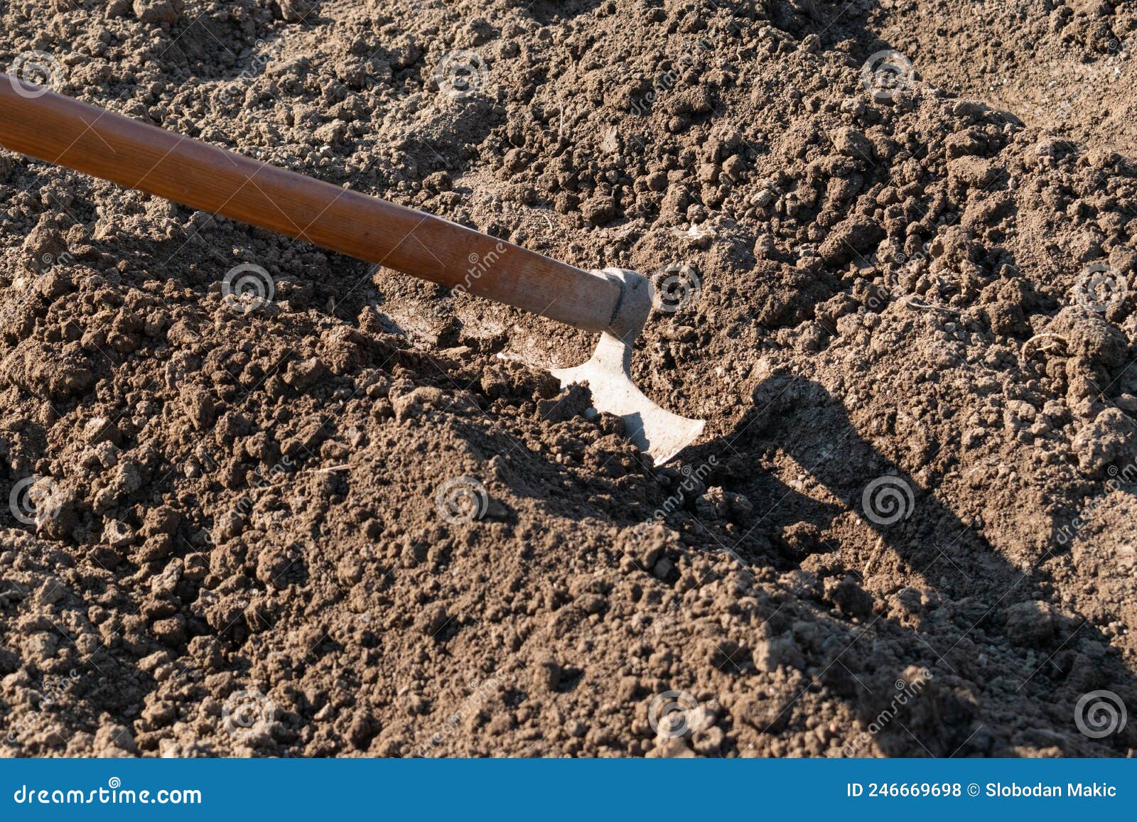 Digging Soil with Hoe in Spring Garden Stock Photo - Image of groud ...