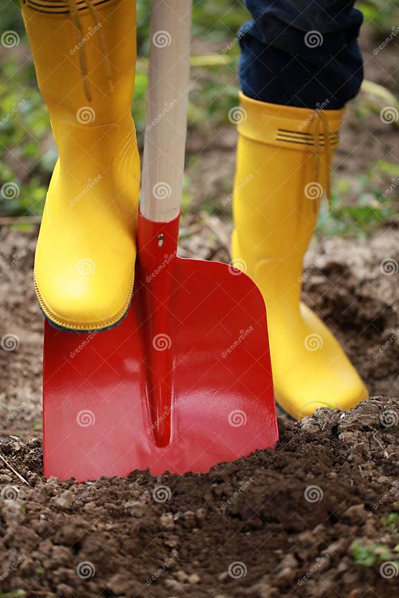 Digging soil with a shovel stock photo. Image of tools - 25893474
