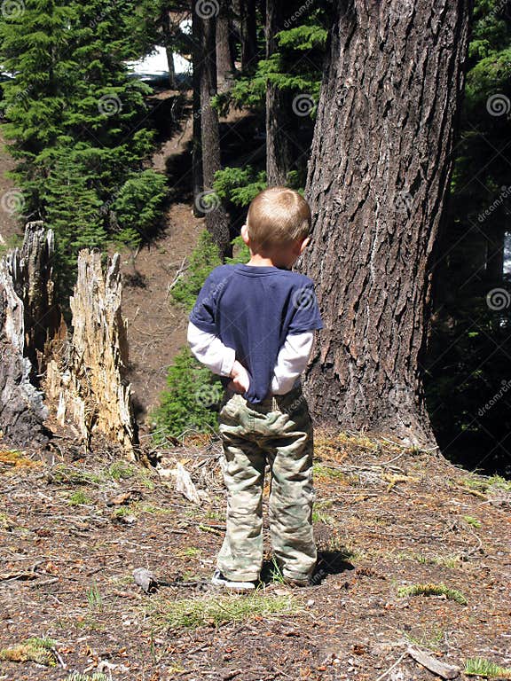 Digging for Something stock photo. Image of digging, diaper - 46449926