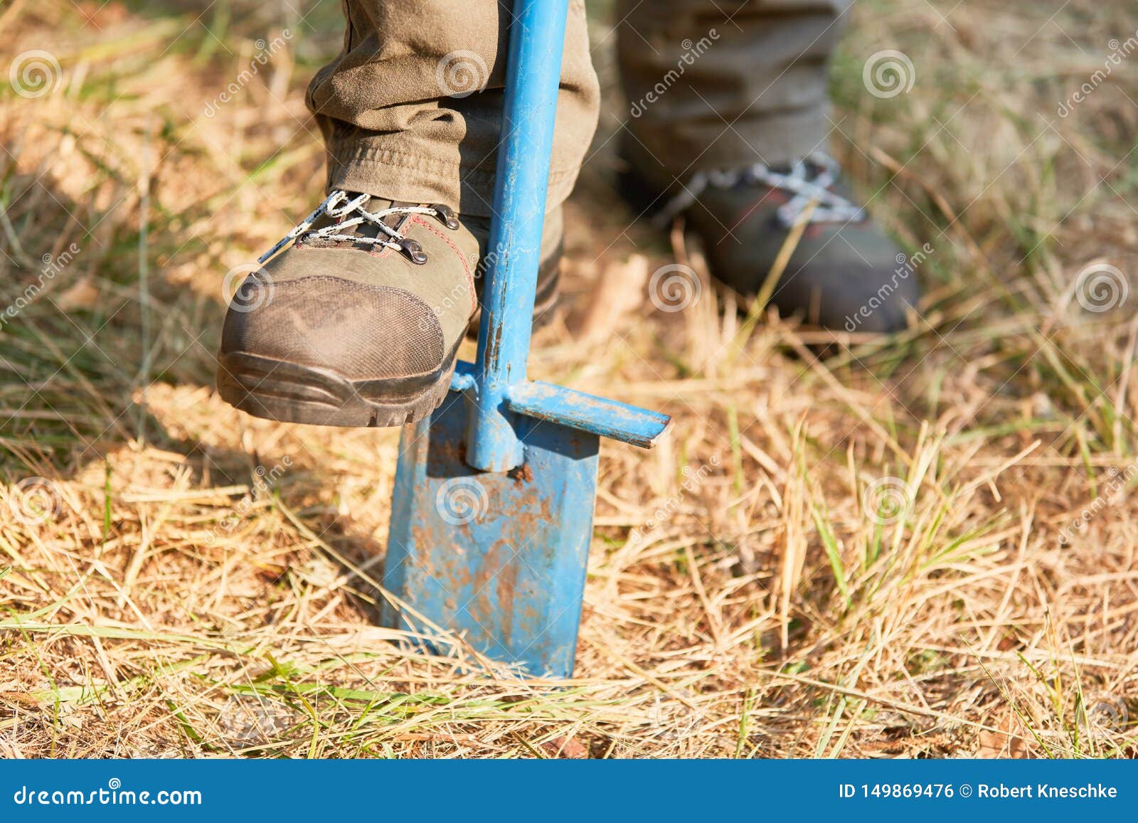 Digging with the Spade for Reforestation Stock Photo - Image of ...