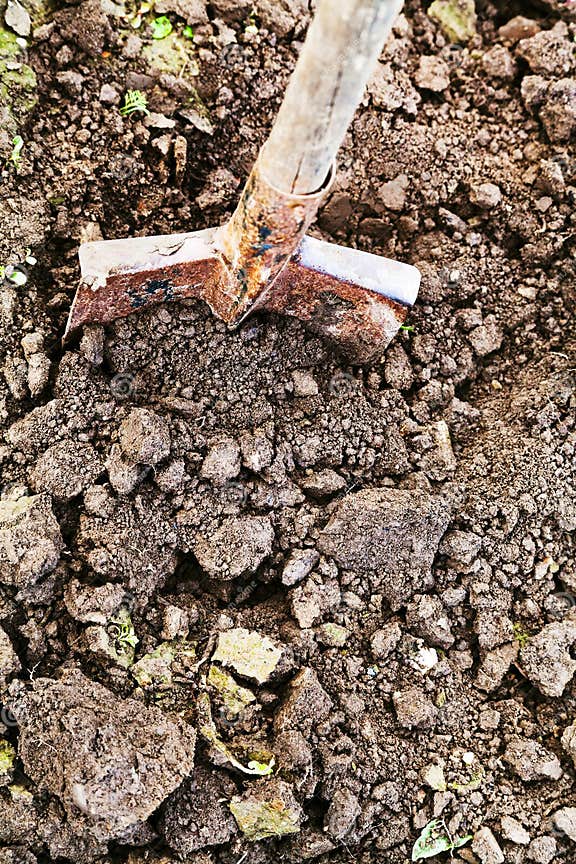 Digging with spade stock photo. Image of newly, land - 34251850