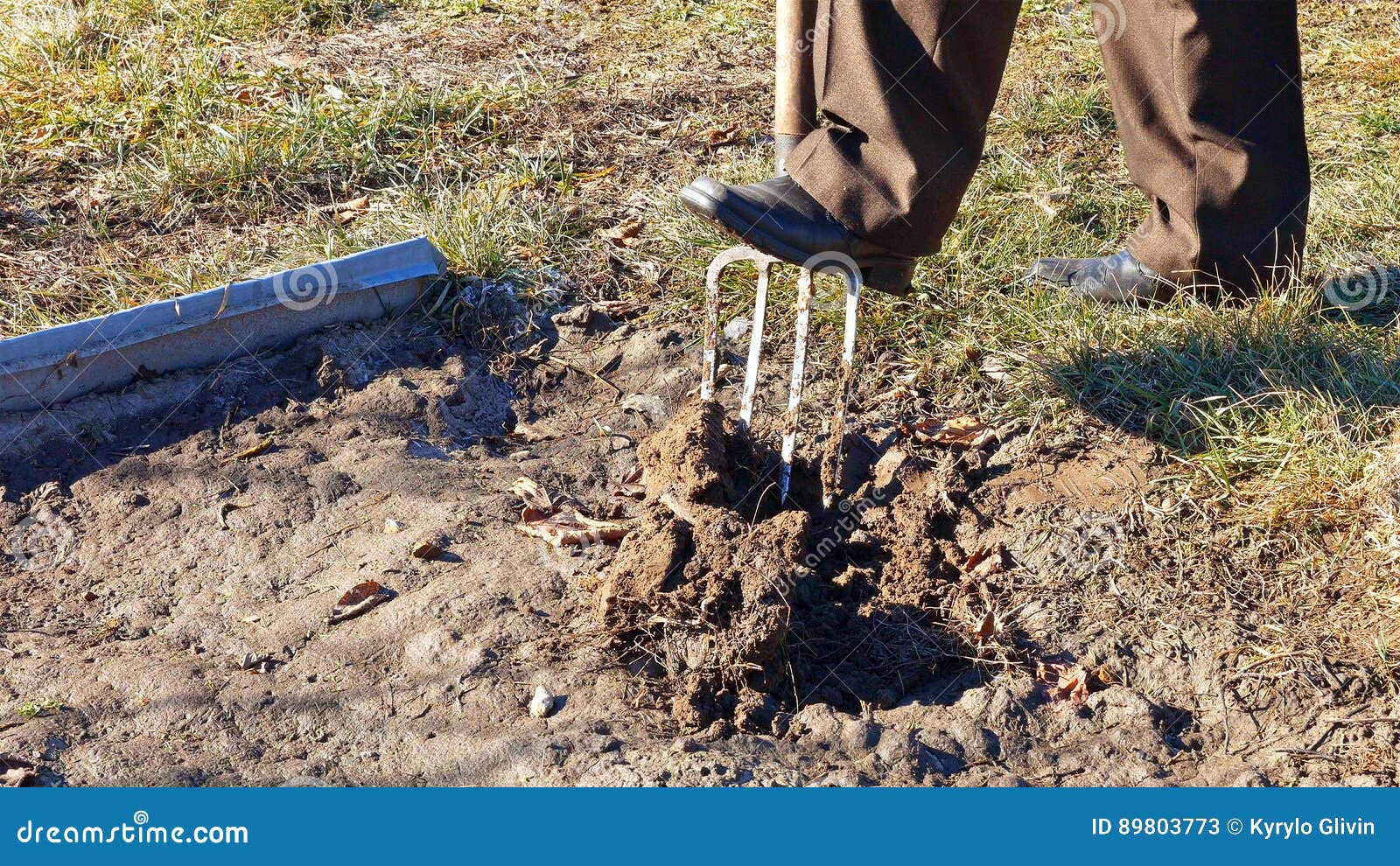 Digging Spring Earth Soil in Garden with Pitchfork Stock Image - Image ...