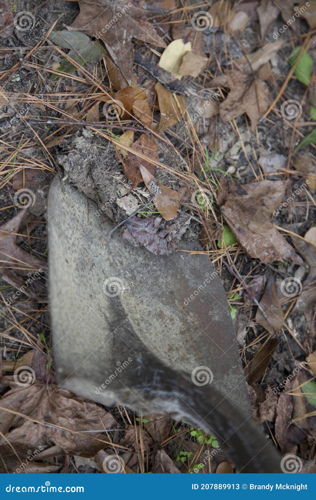 Digging up Dirt stock image. Image of digging, earthworks - 207889913