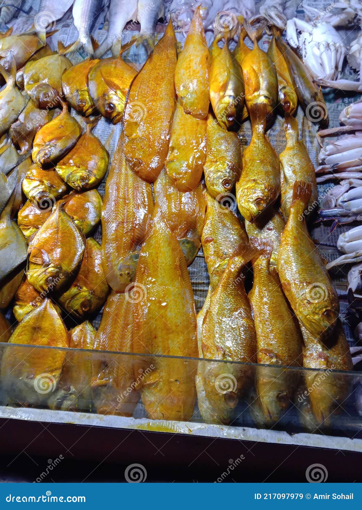 Digha Seafood Fish Digha West Bengal India Stockbild - Bild von indien ...