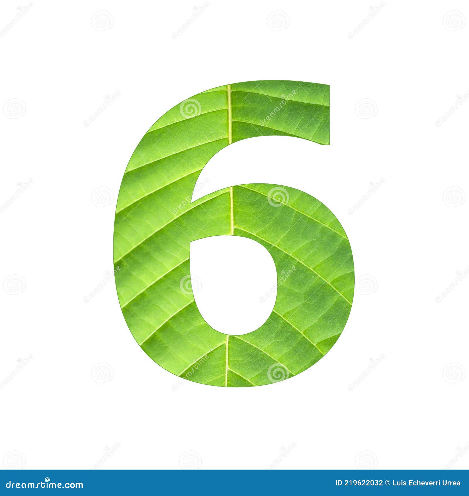 Digit Number 6 - Green Leaf Plant Background Stock Photo - Image of ...