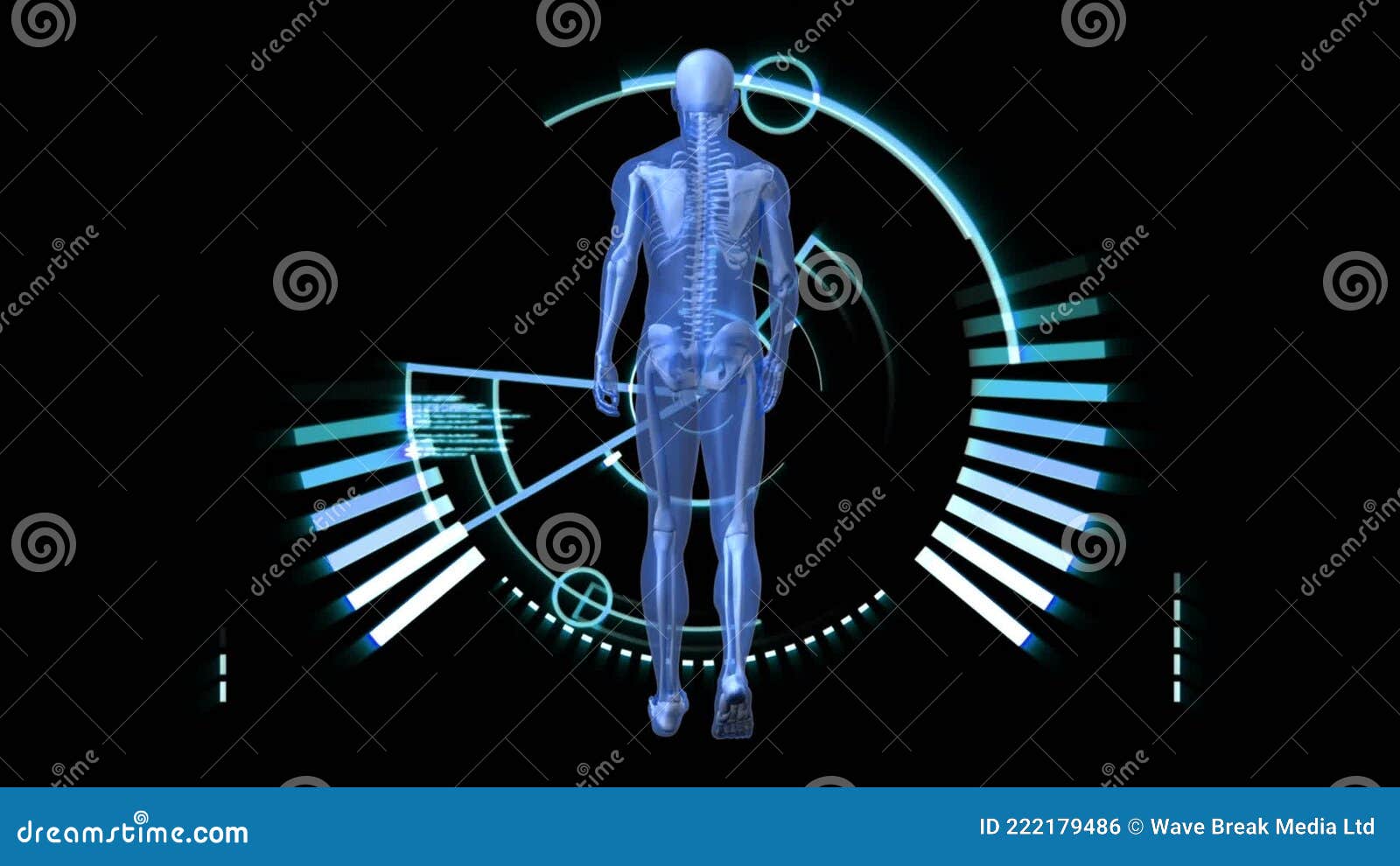 Digital Animation of Human Body Model Walking Against Round Scanner and ...