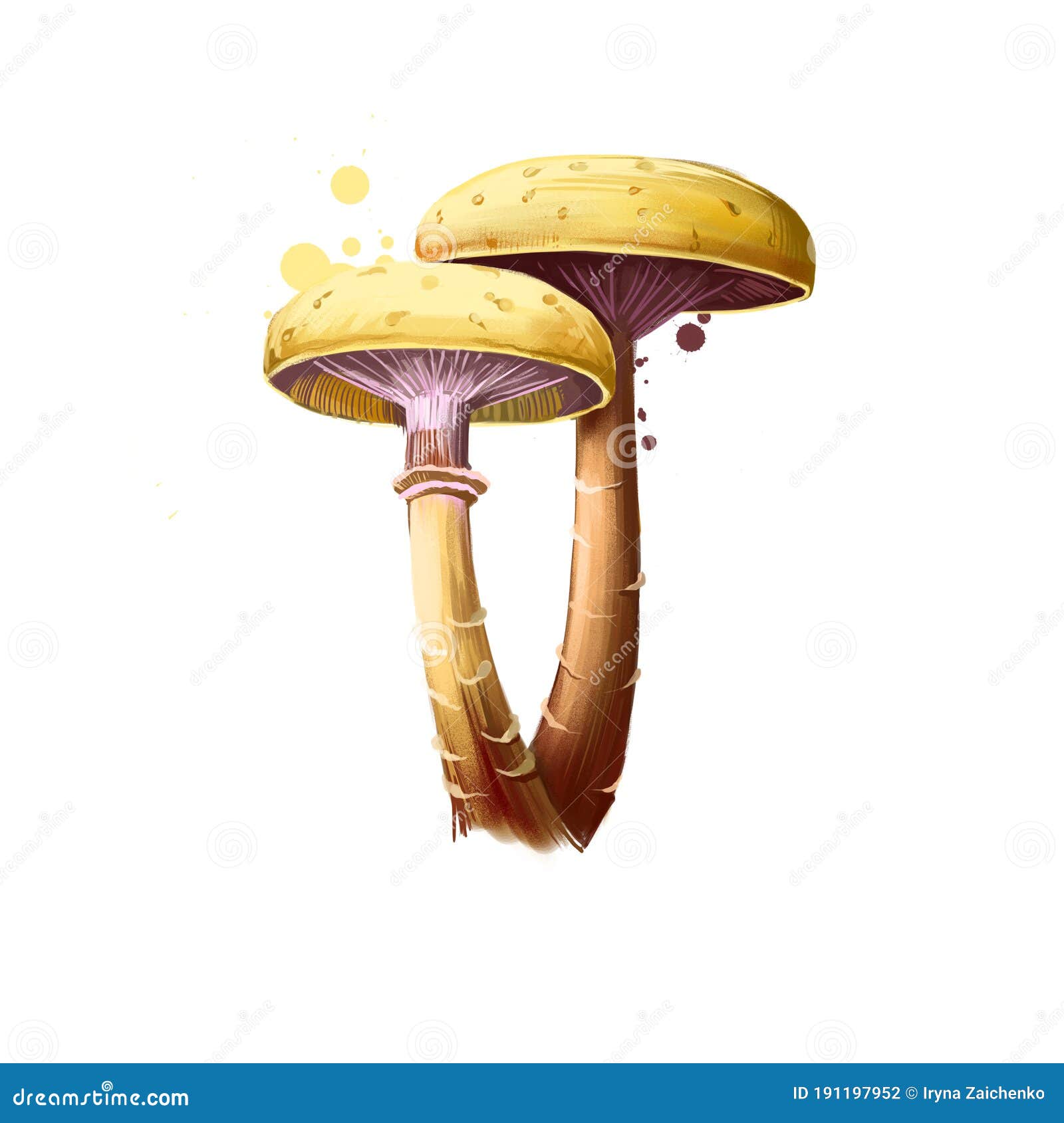 Digital Art Mushrooms Toadstools Fungus Or Spore Body Isolated On