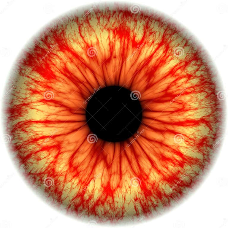 Illustration of a Human Iris Texture Stock Illustration - Illustration ...