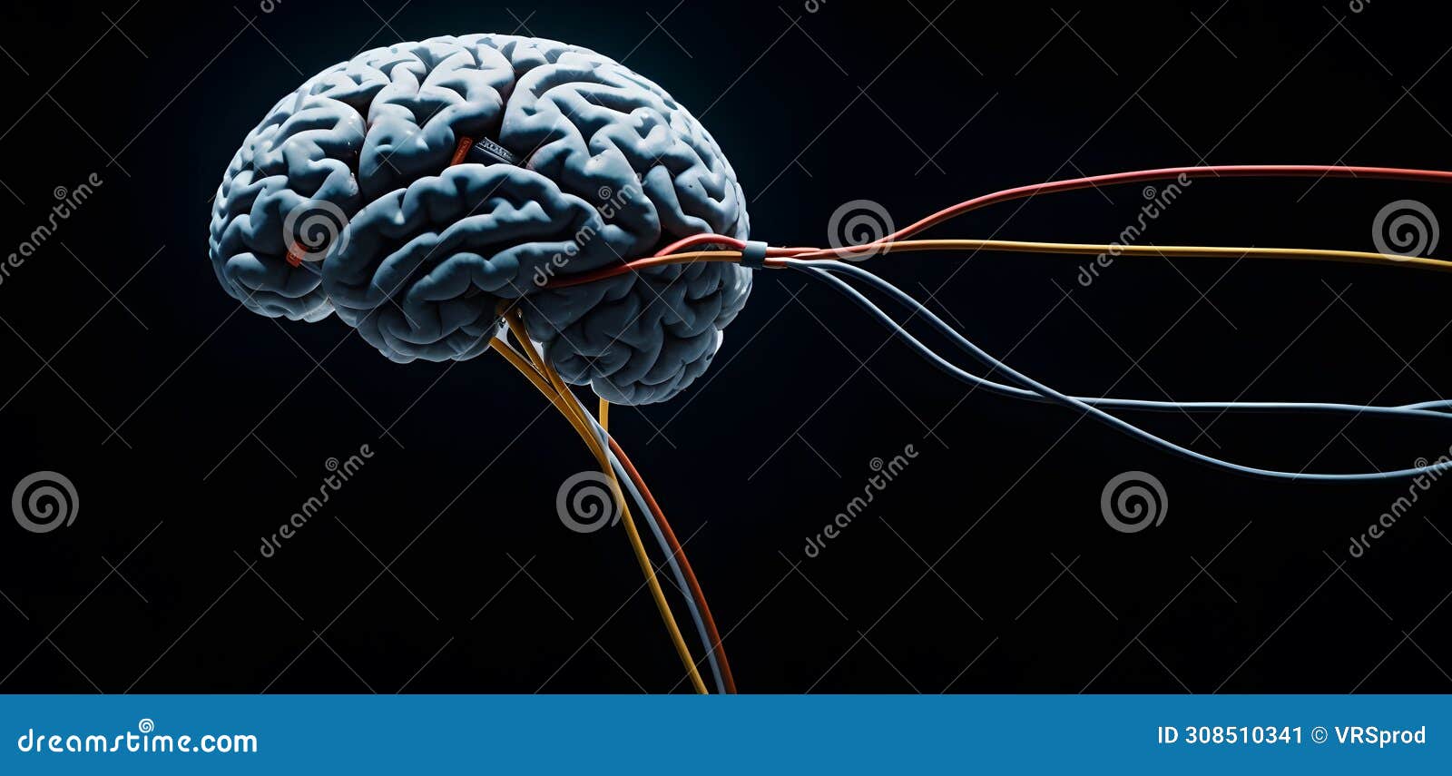 A Computer Generated Image of a Human Brain with Wires Coming Out of it ...