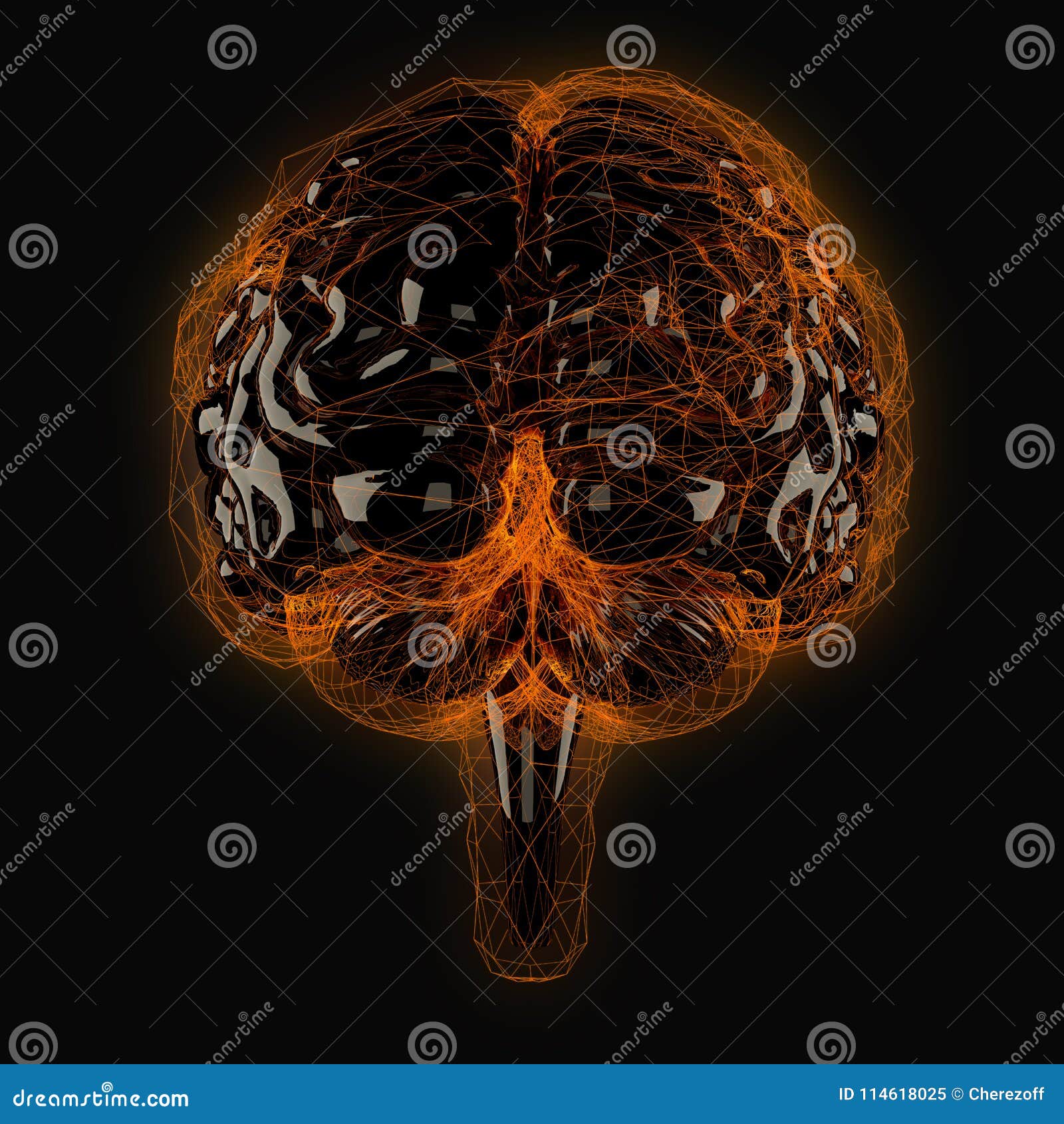 Digital Brain in Luminous Frame Shell Stock Illustration - Illustration ...