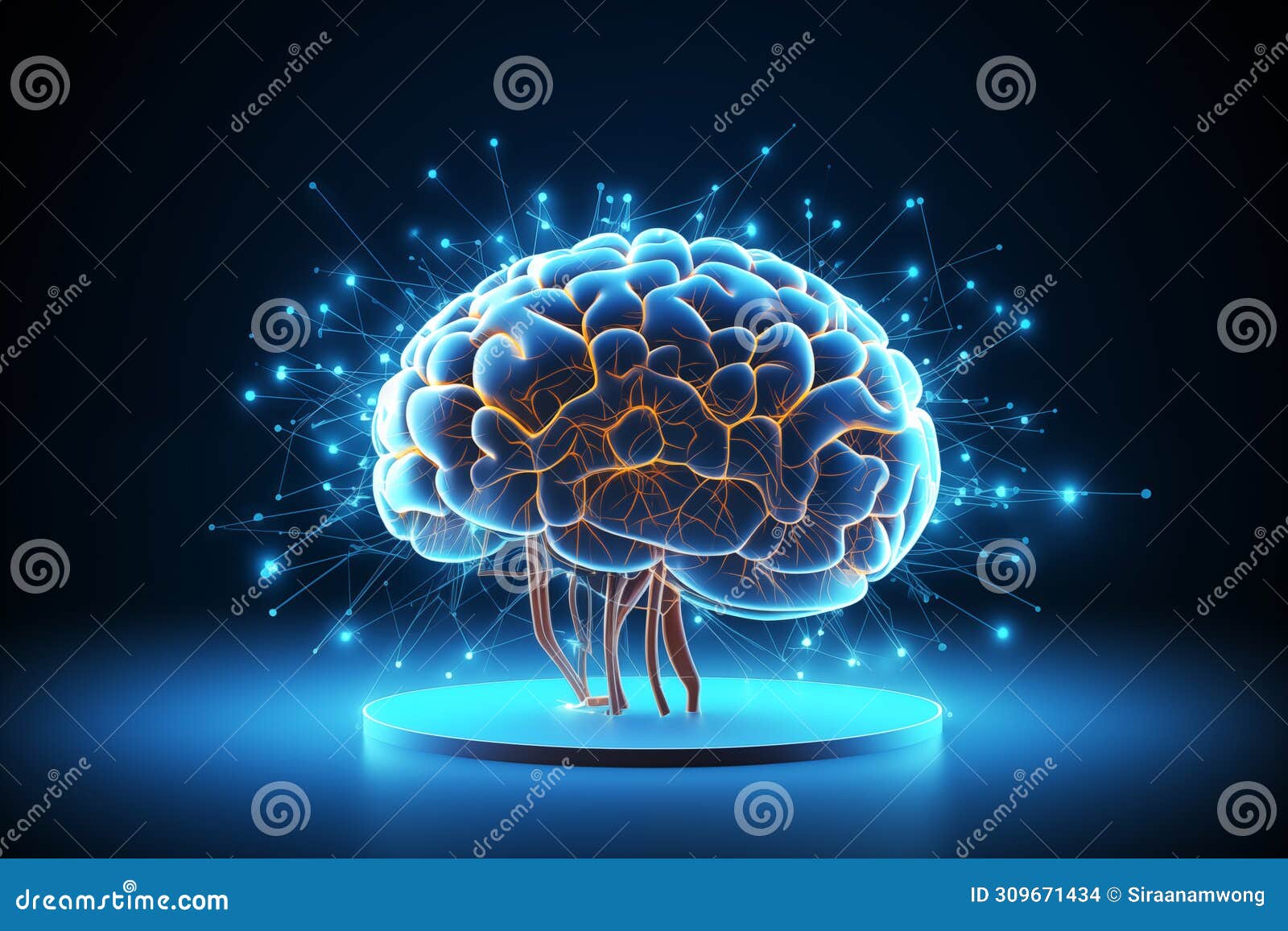 Digital Brain. Science and Technology Concept. Concept of Human ...