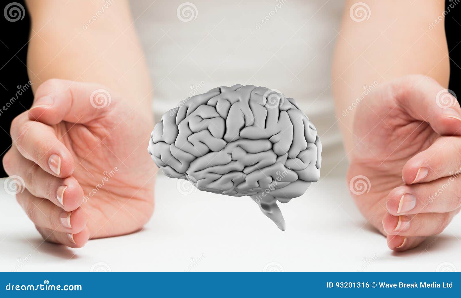 Digital Brain between Two Hands Stock Photo - Image of young, woman ...