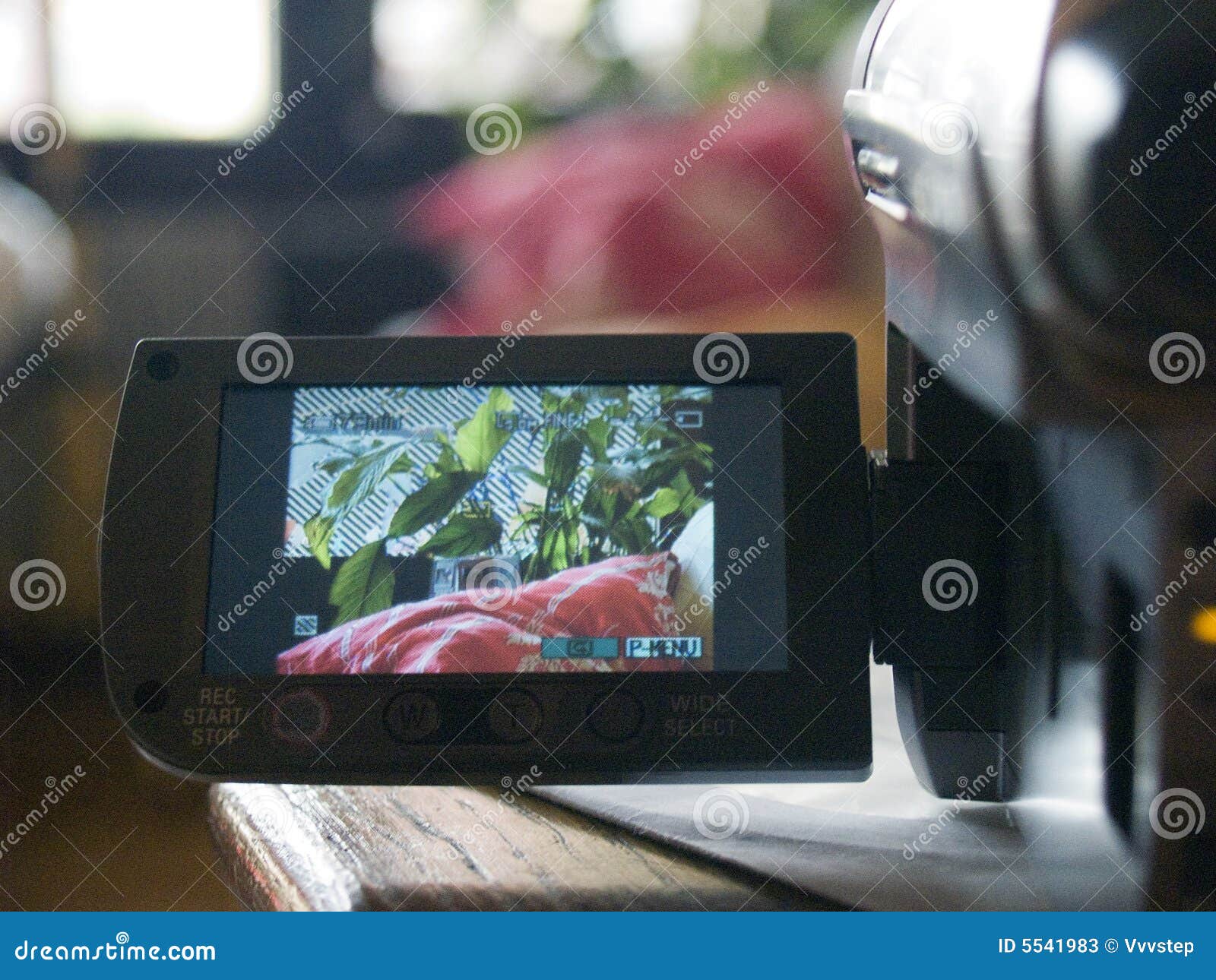 Digital camera LCD display stock image. Image of display - 5541983