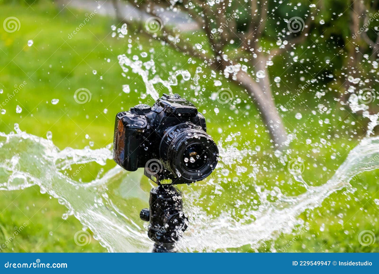 A Digital Camera on a Tripod in the Rain Stock Image - Image of green ...