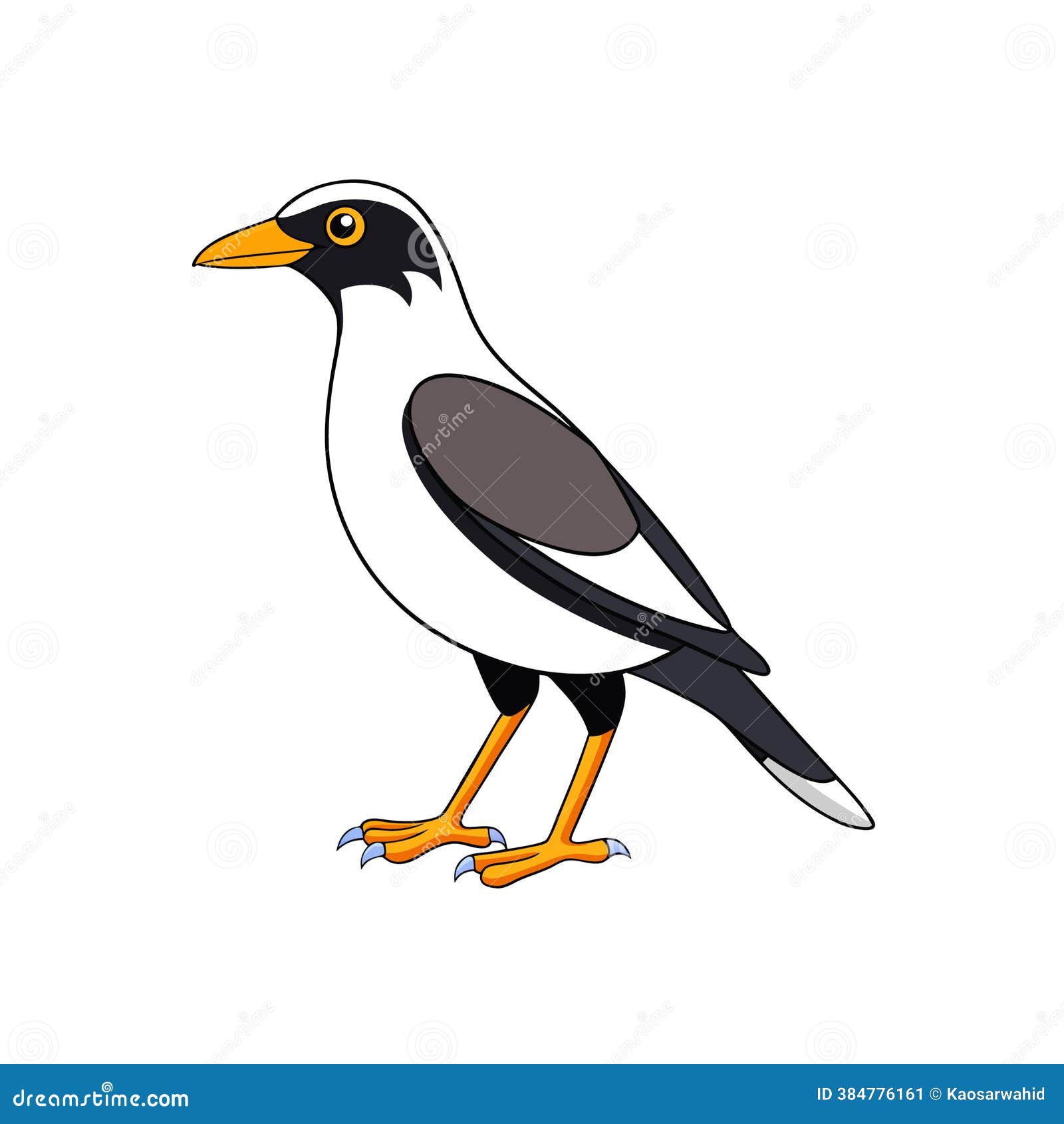 Myna Cartoons, Illustrations & Vector Stock Images - 563 Pictures to ...