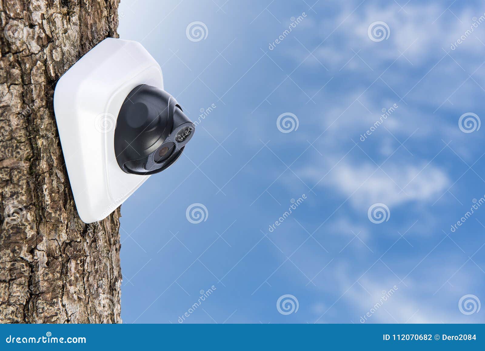 Digital CCTV Camera on the Oak Tree Trunk with Blue Sky on Background ...