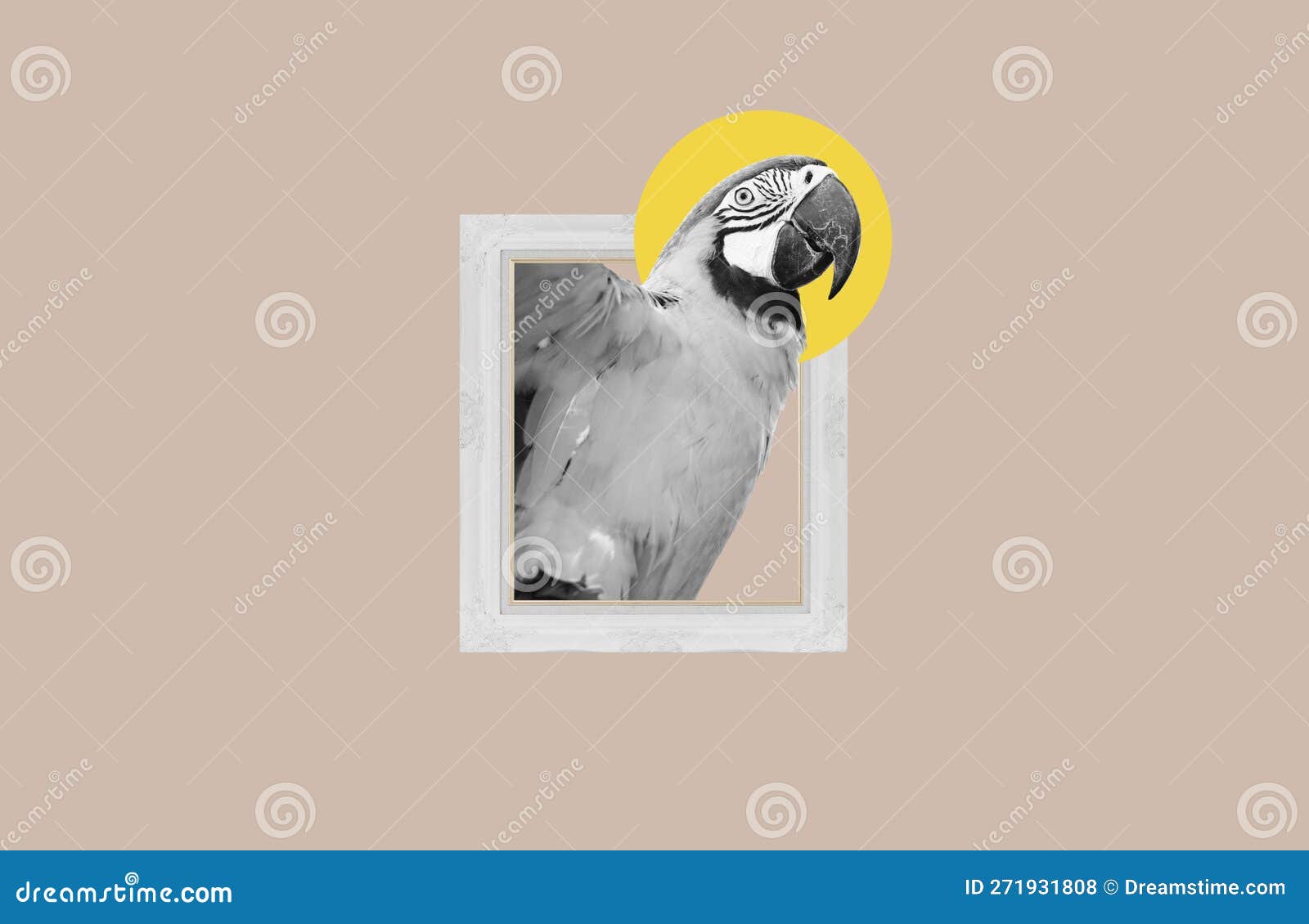 Digital Collage, Bird Get Out of Picture Frame Stock Illustration ...