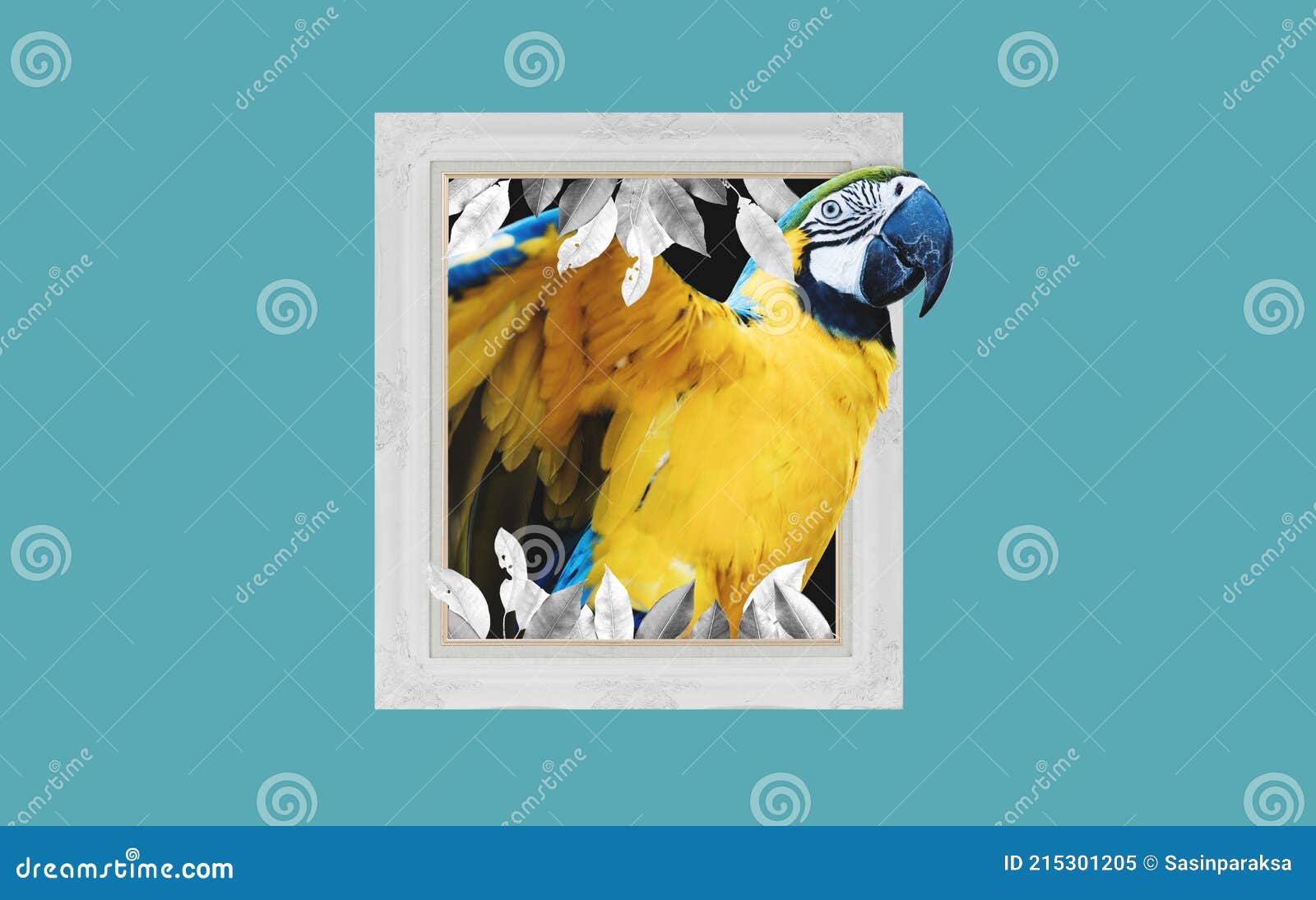 Digital Collage Modern Art, Yellow Macaw Parrot, with Picture Frame ...