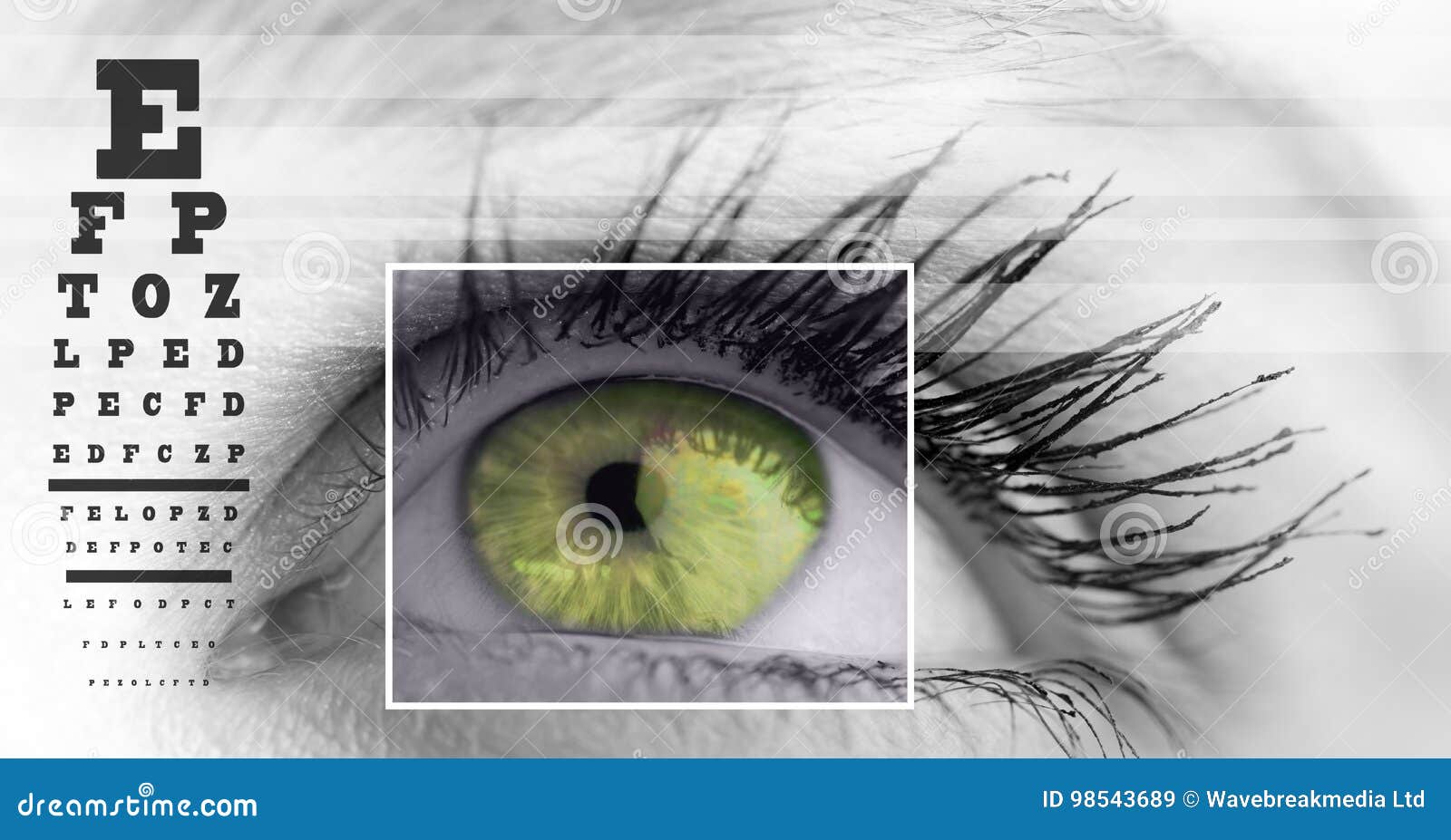 Eye Focus Box Detail and Lines and Eye Test Interface Stock Image ...