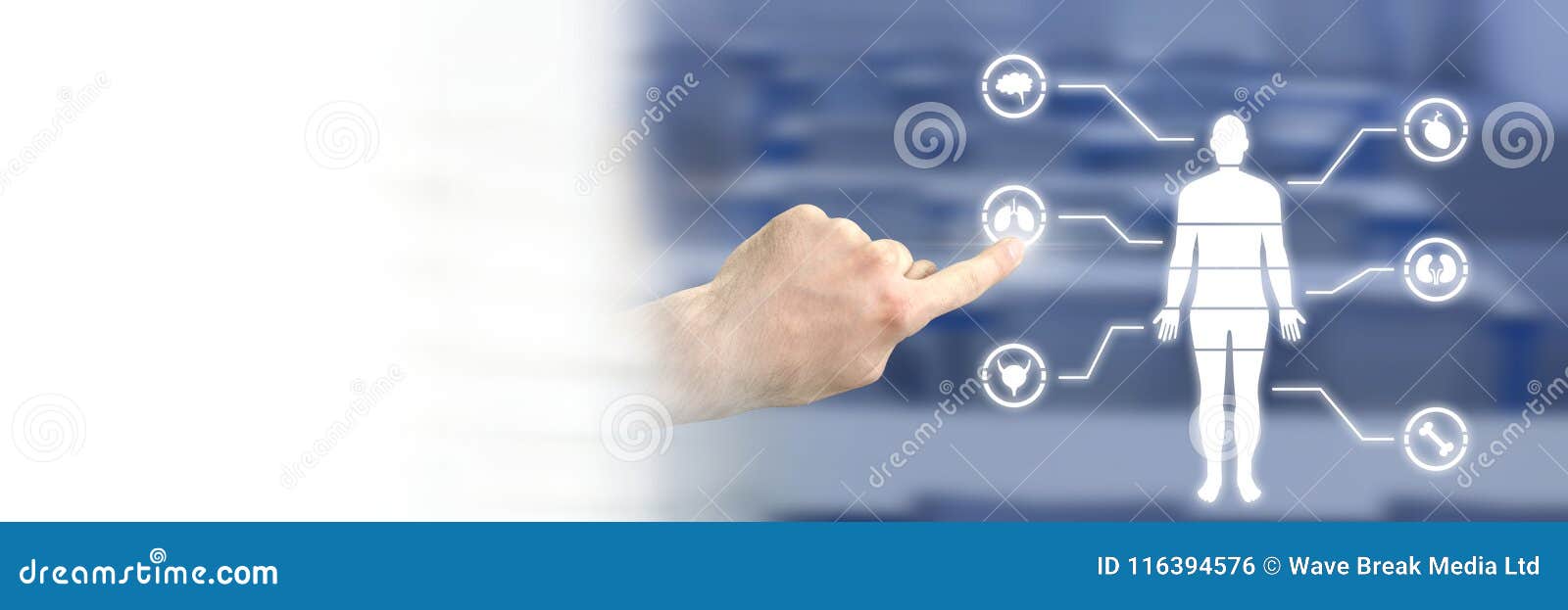 Human Body Chart and Hand Touching and Blank Transition Stock Photo ...