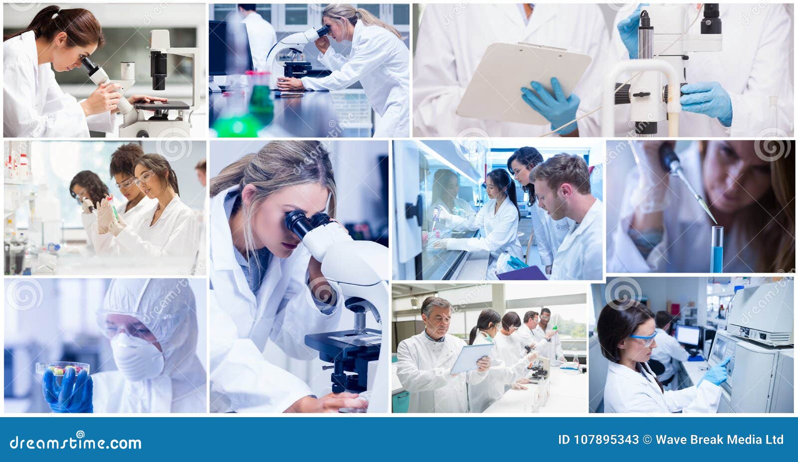 Scientific Research Collage Stock Image - Image of 3034, 2529: 107895343