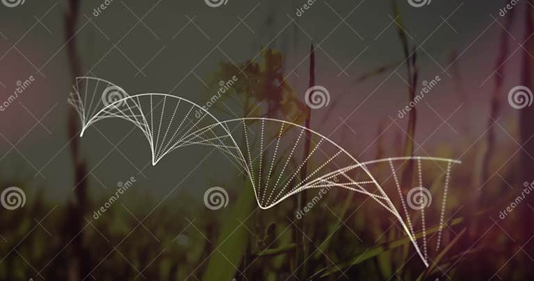 Digital Composition of Dna Structure Spinning Against Grass Moving in ...