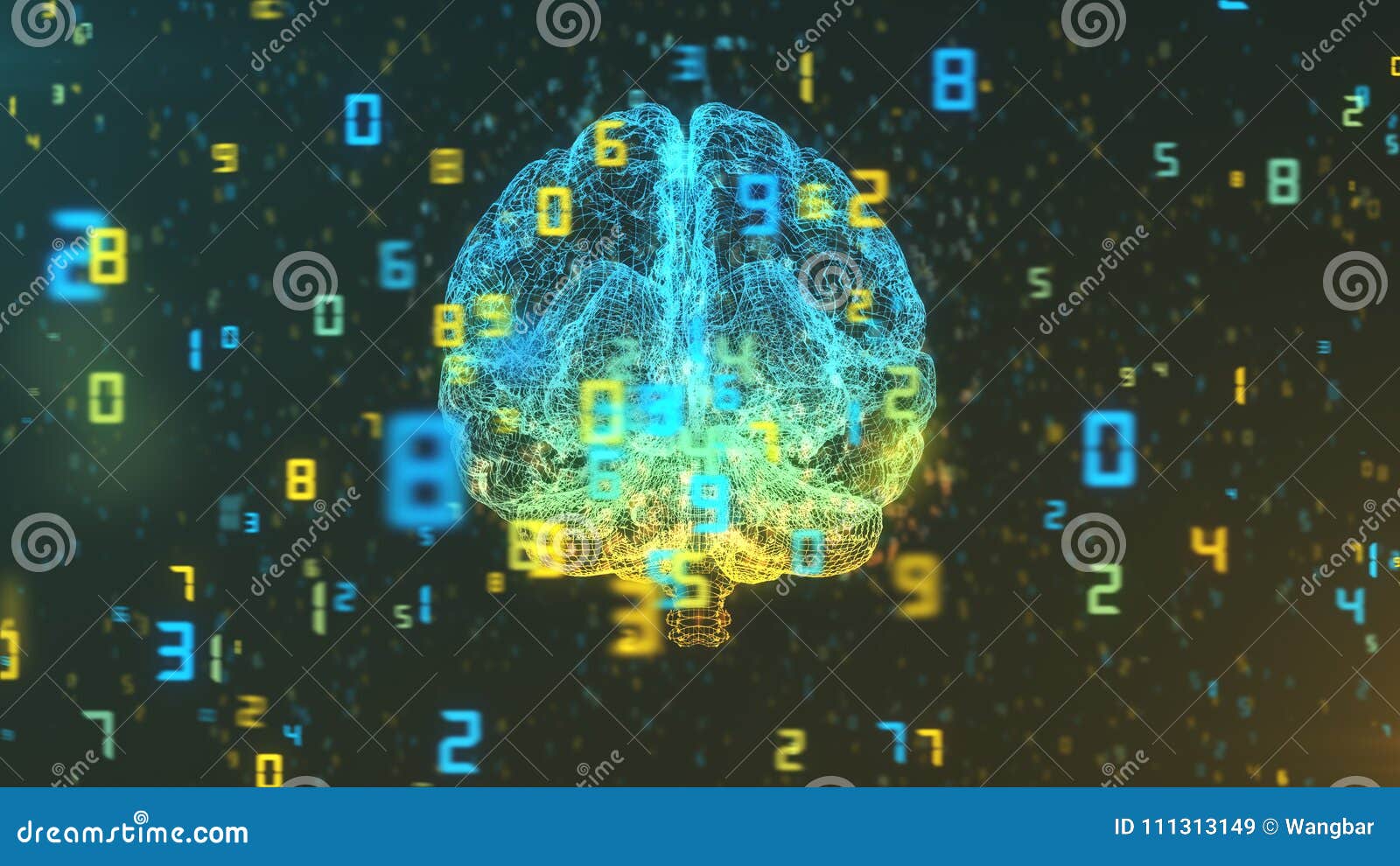 Brain and Numbers - Big Data and Statistics - Front View Stock ...
