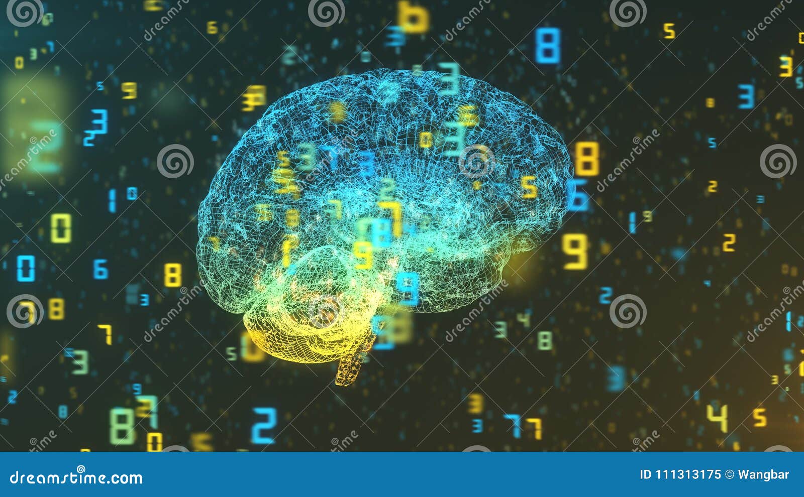 Brain and Numbers - Big Data and Statistics - Right View Stock ...