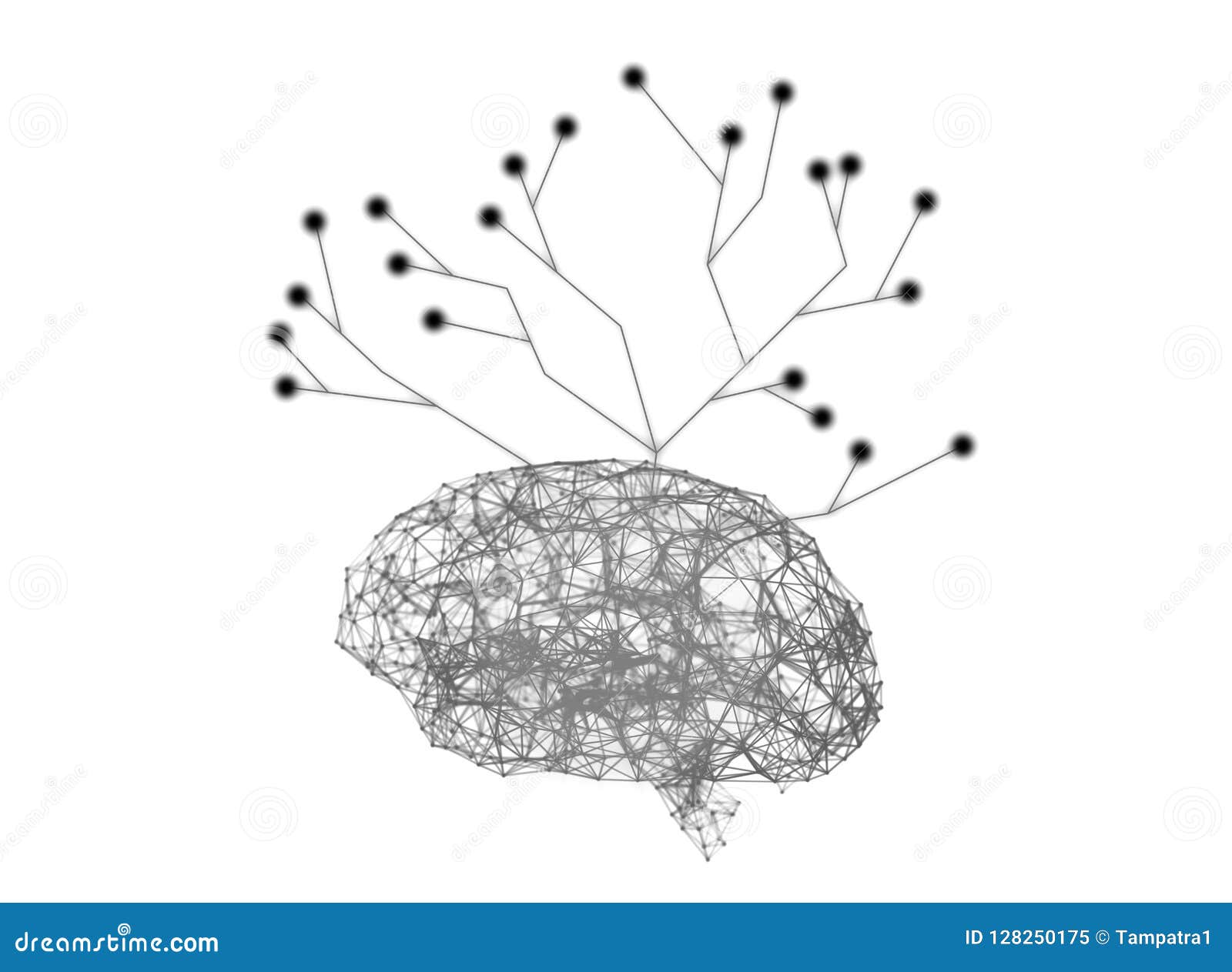 Digital Data and Network Connection of Human Brain with Tree Structure ... Digital Data and Network Connection of Human Brain with Tree Structure ...