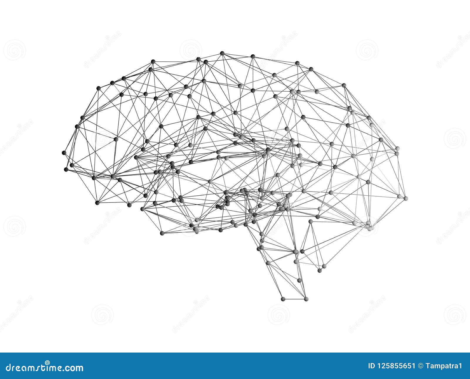 Digital Data and Network Connection of Human Brain on White Back Stock ...