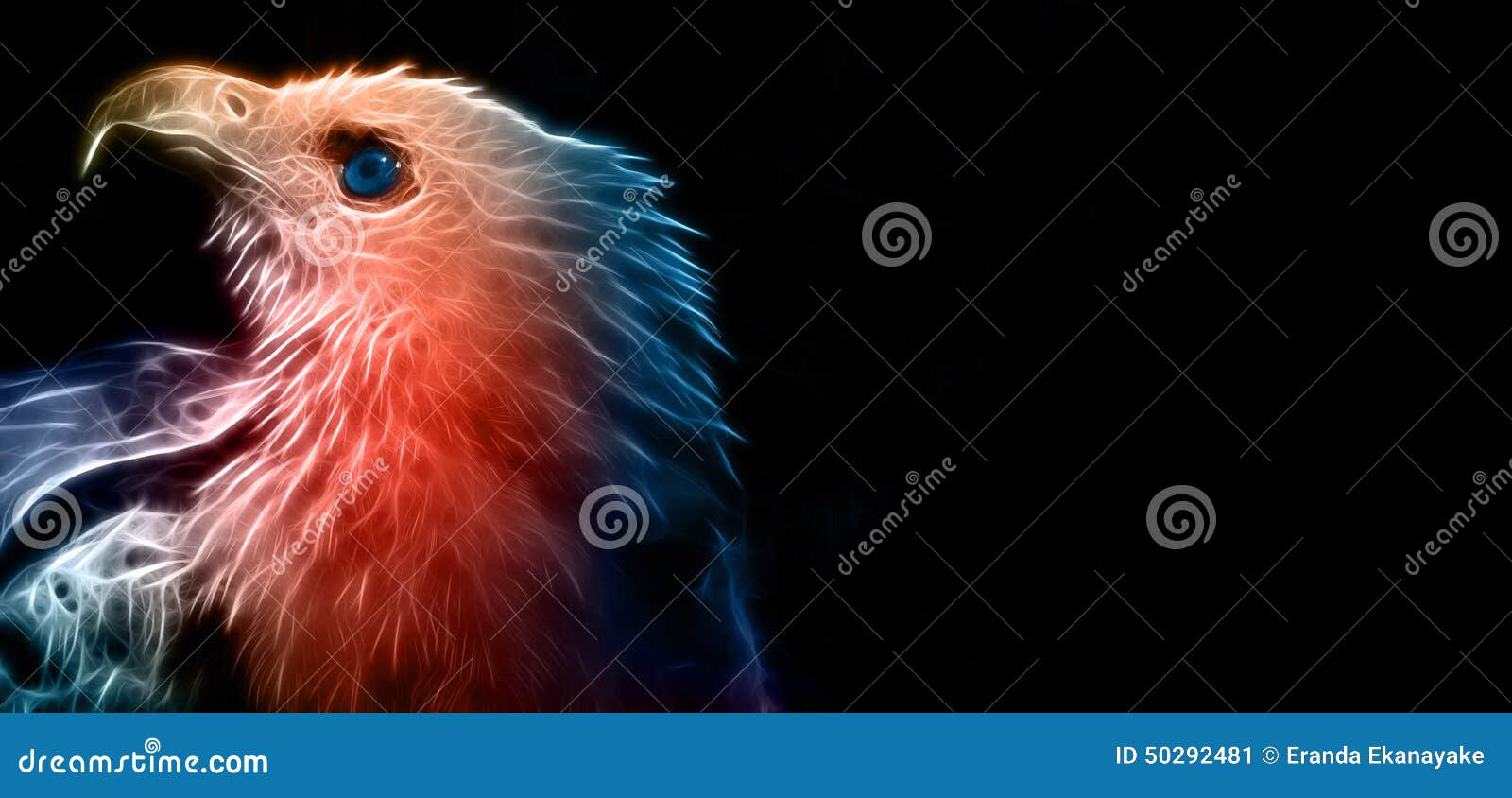 Digital Drawing of Bald Eagle Stock Illustration - Illustration of beak ...