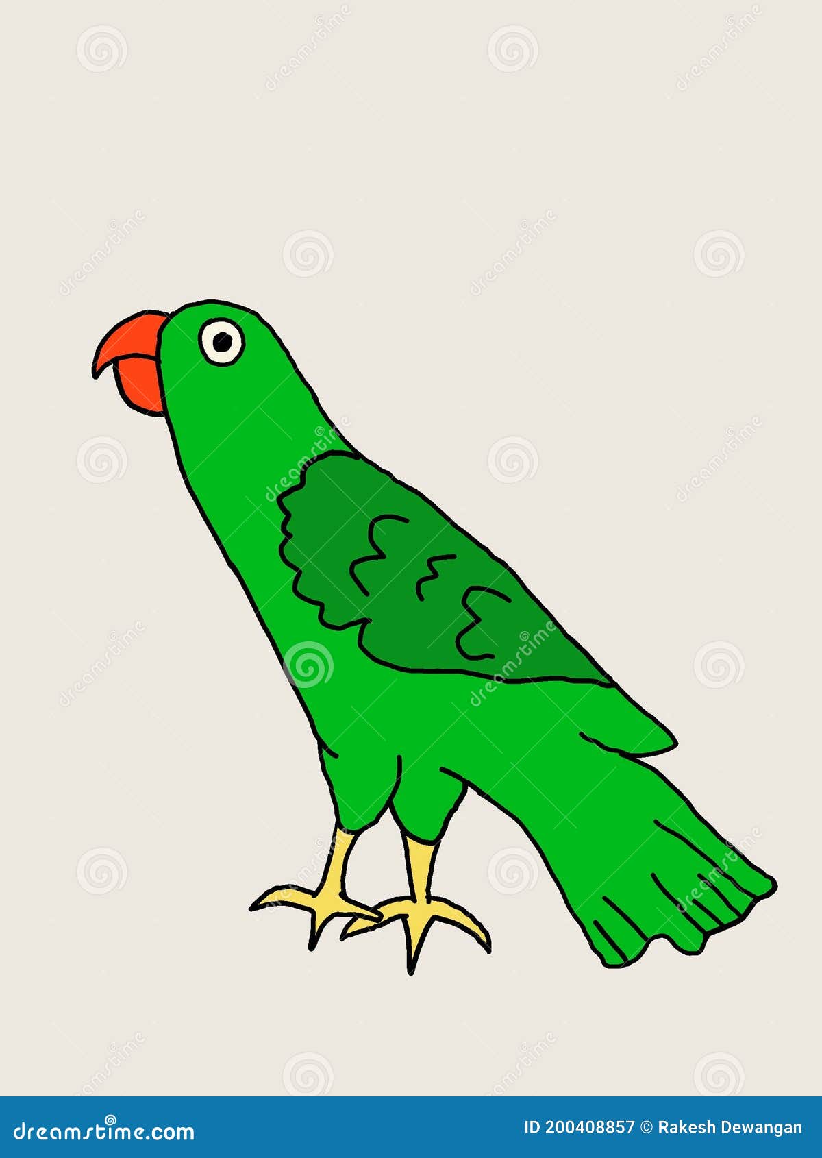 Digital Drawing of Indian Parrot Stock Illustration - Illustration of ...