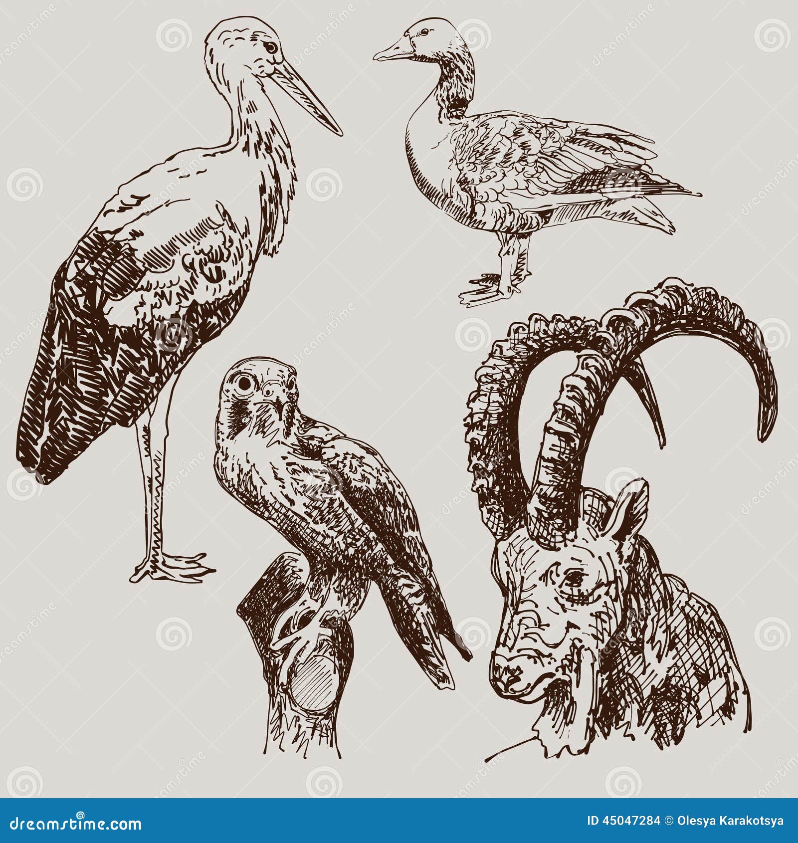 Stork Drawing Stock Illustrations – 4,524 Stork Drawing Stock ...