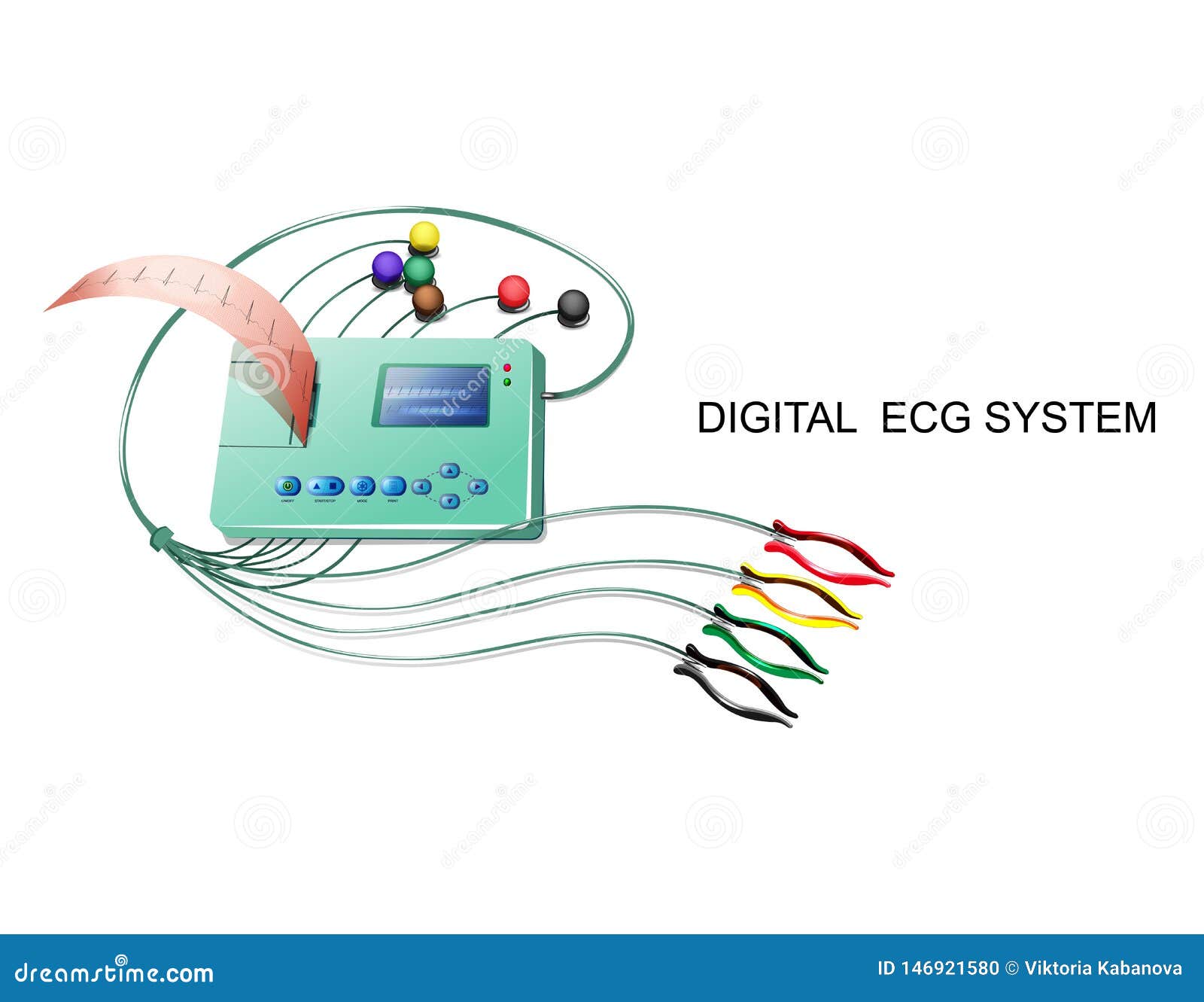 Digital ECG system stock illustration. Illustration of anatomy - 146921580