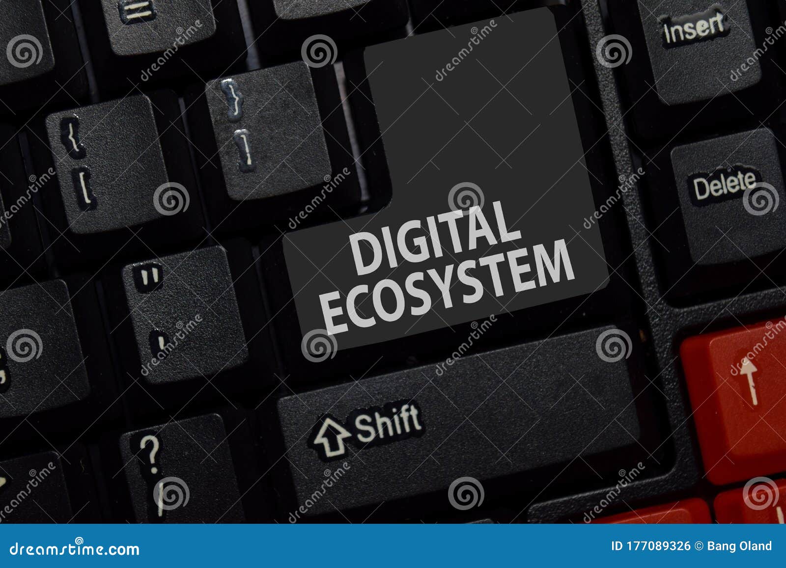 Digital Ecosystem Isolated on Laptop Keyboard Background Stock Photo ...