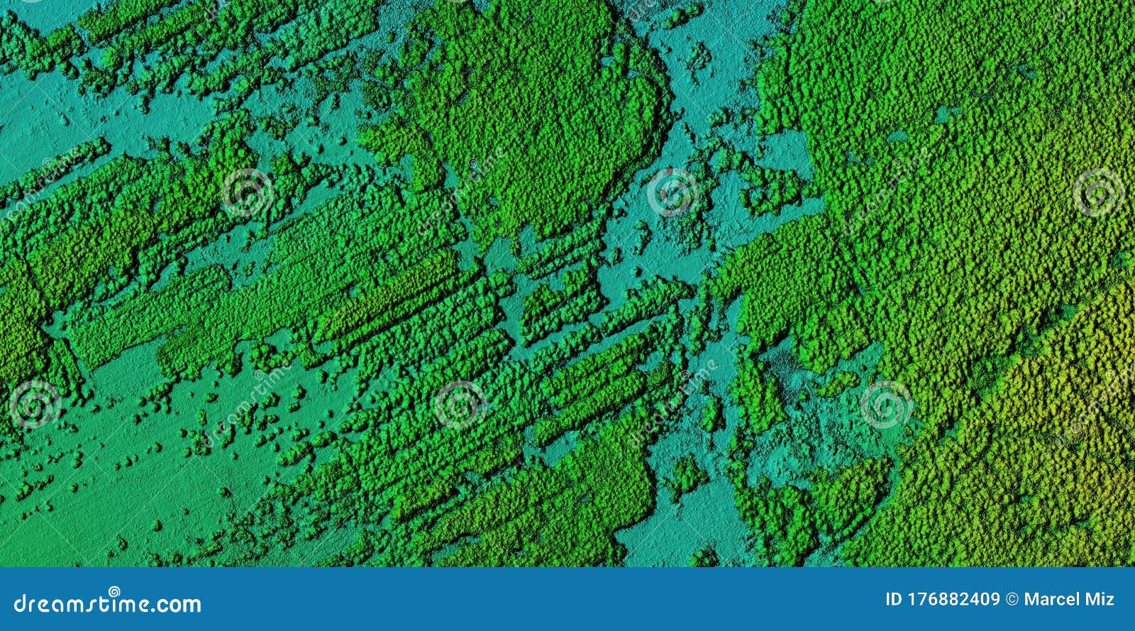 Digital Elevation Model of a Forest Area Stock Illustration ...