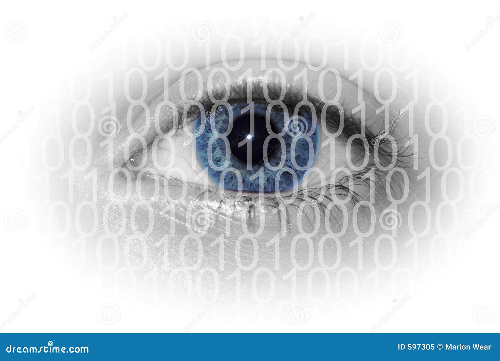 Digital Eye stock image. Image of numbers, compute, technology - 597305