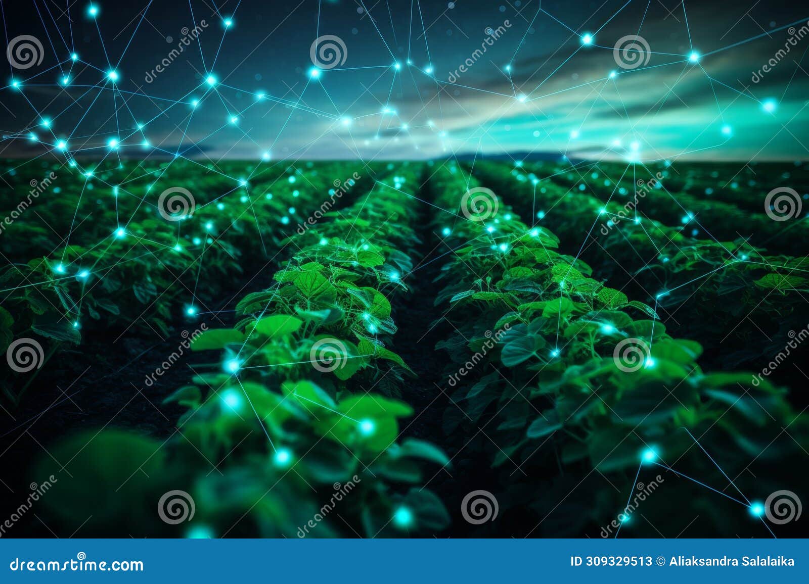 Digital Farming Network in Agriculture, Advanced Technology Concept for ...