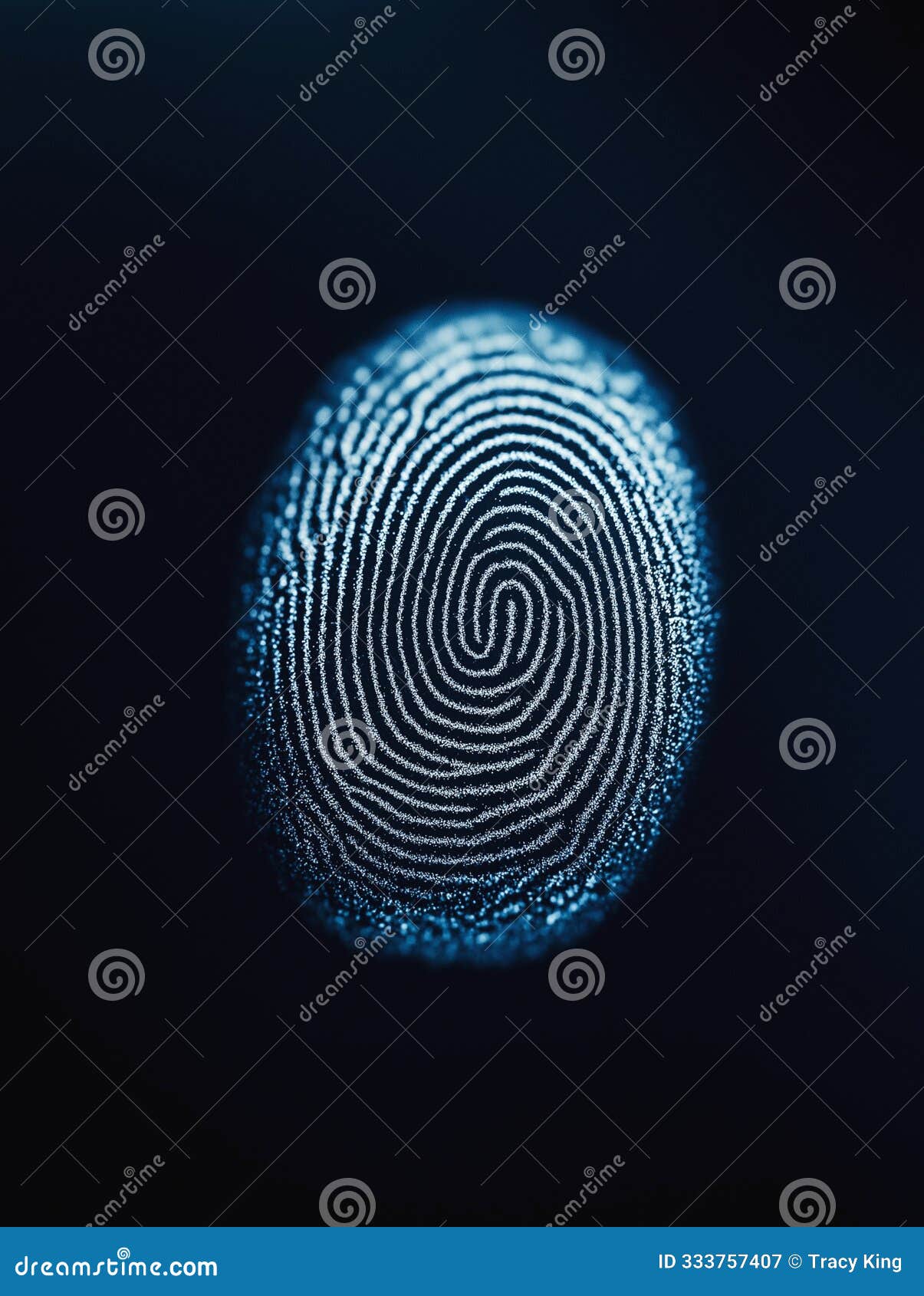 Digital Fingerprint Waveform For Biometric Security Stock Photography ...