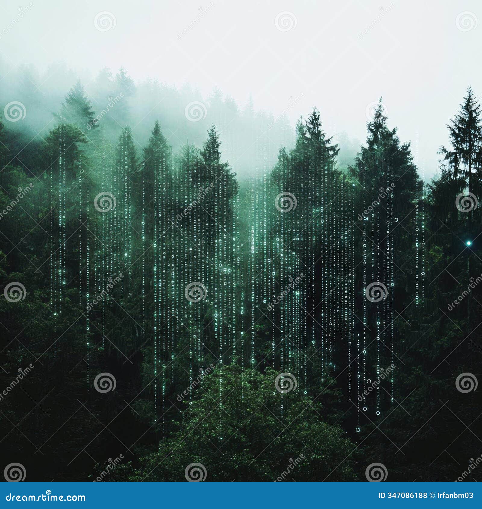 The Digital Forest, Where Nature Meets Technology Stock Photo - Image ...