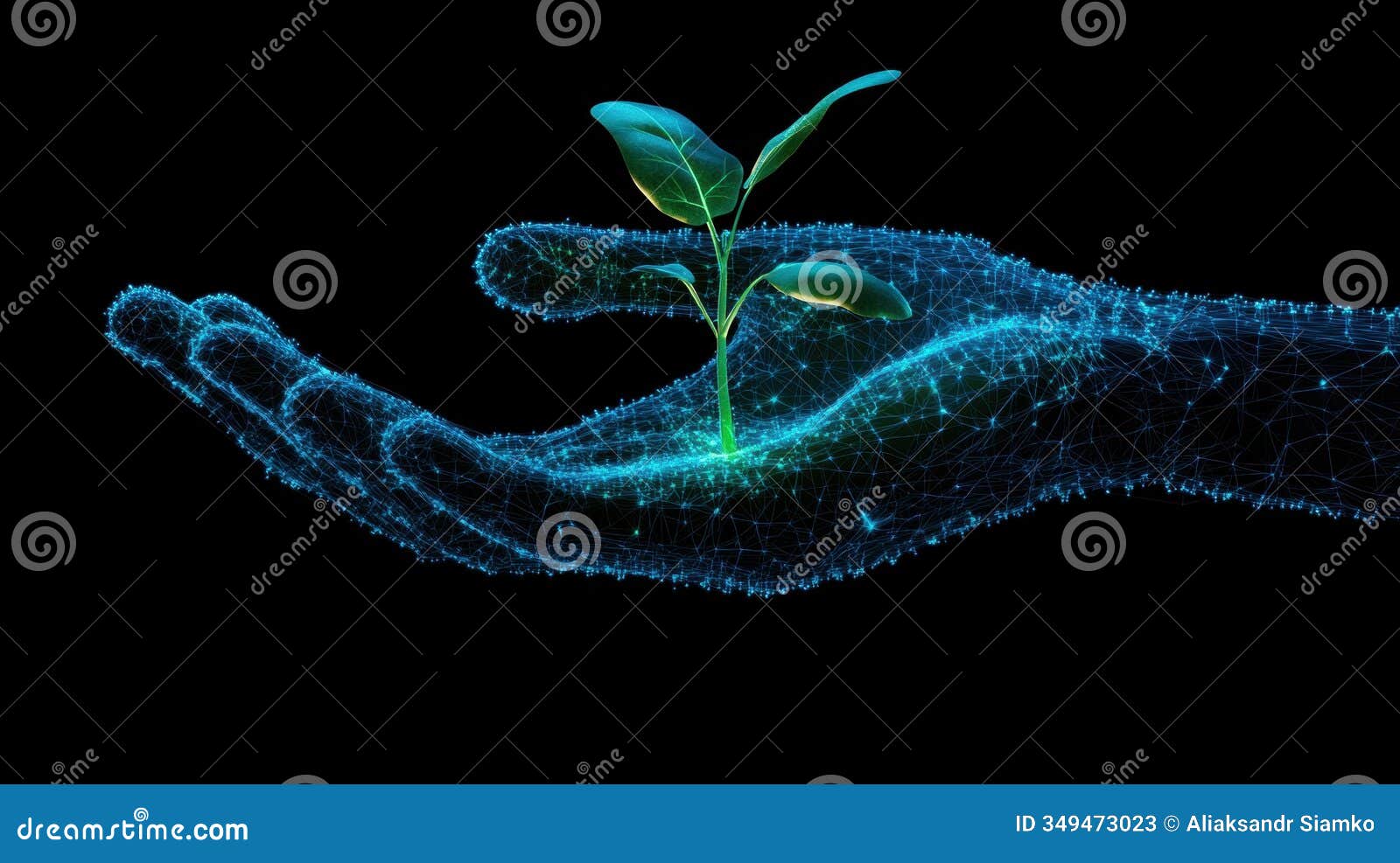 Hand Nurturing A Young Seedling In Warm Sunlight, Symbolizing Growth ...
