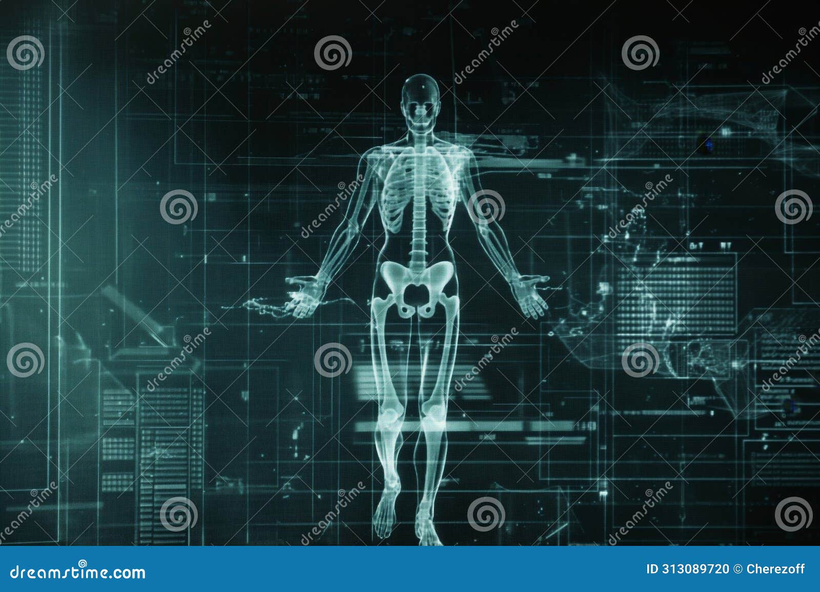 Digital Human Anatomy Scan stock photo. Image of technology - 313089720