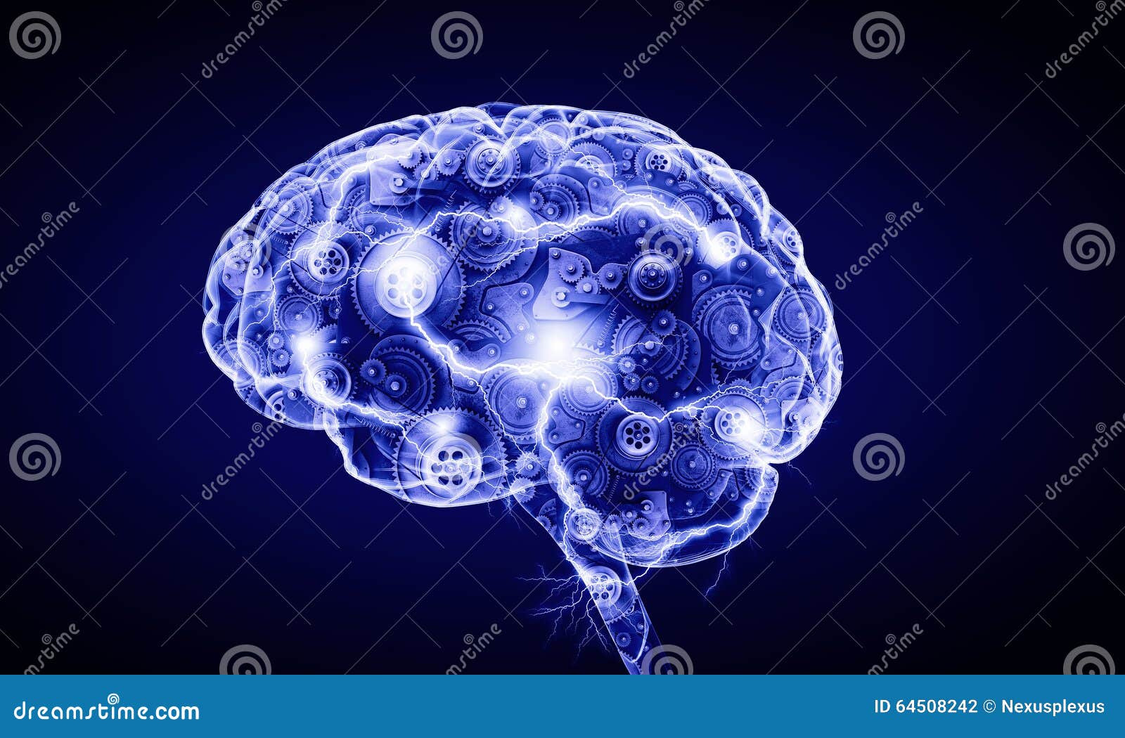 Digital human brain stock photo. Image of neurology, anatomy - 64508242