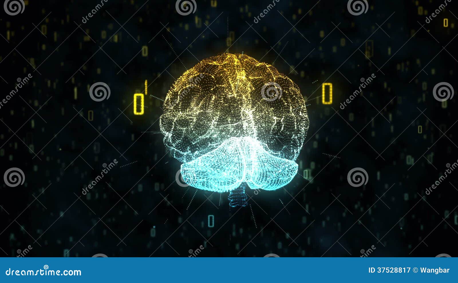 Information Technology Videos & Computing Stock Video Clips